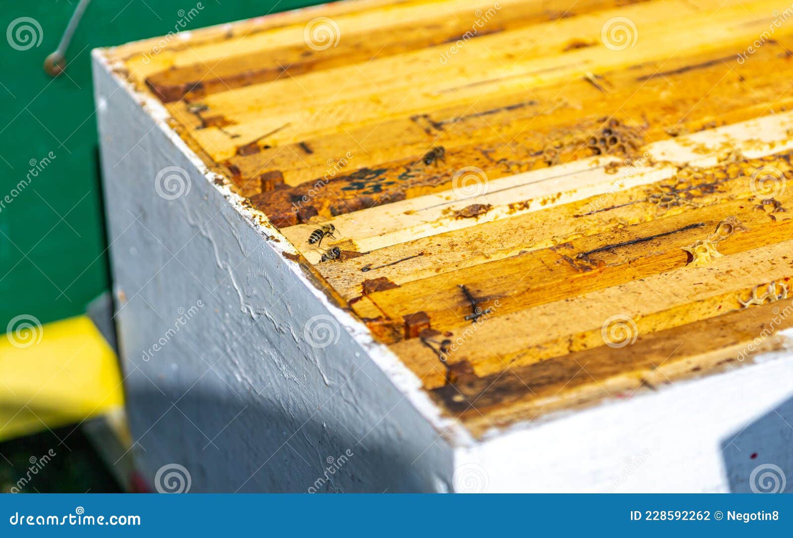 Open Beehive Box with Frames at Beekeeping Colony Stock Photo - Image ...