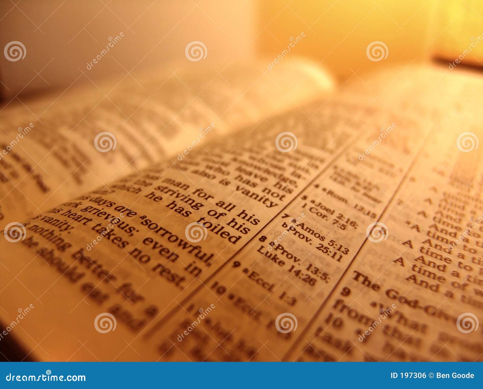 Open Bible stock photo. Image of worship, christian, religion - 197306