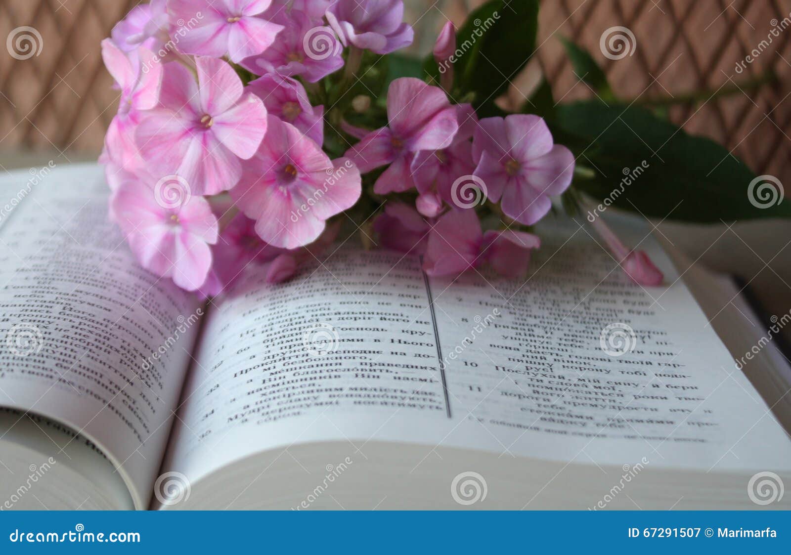 1,054 Bible Devotional Stock Photos - Free & Royalty-Free Stock Photos ...