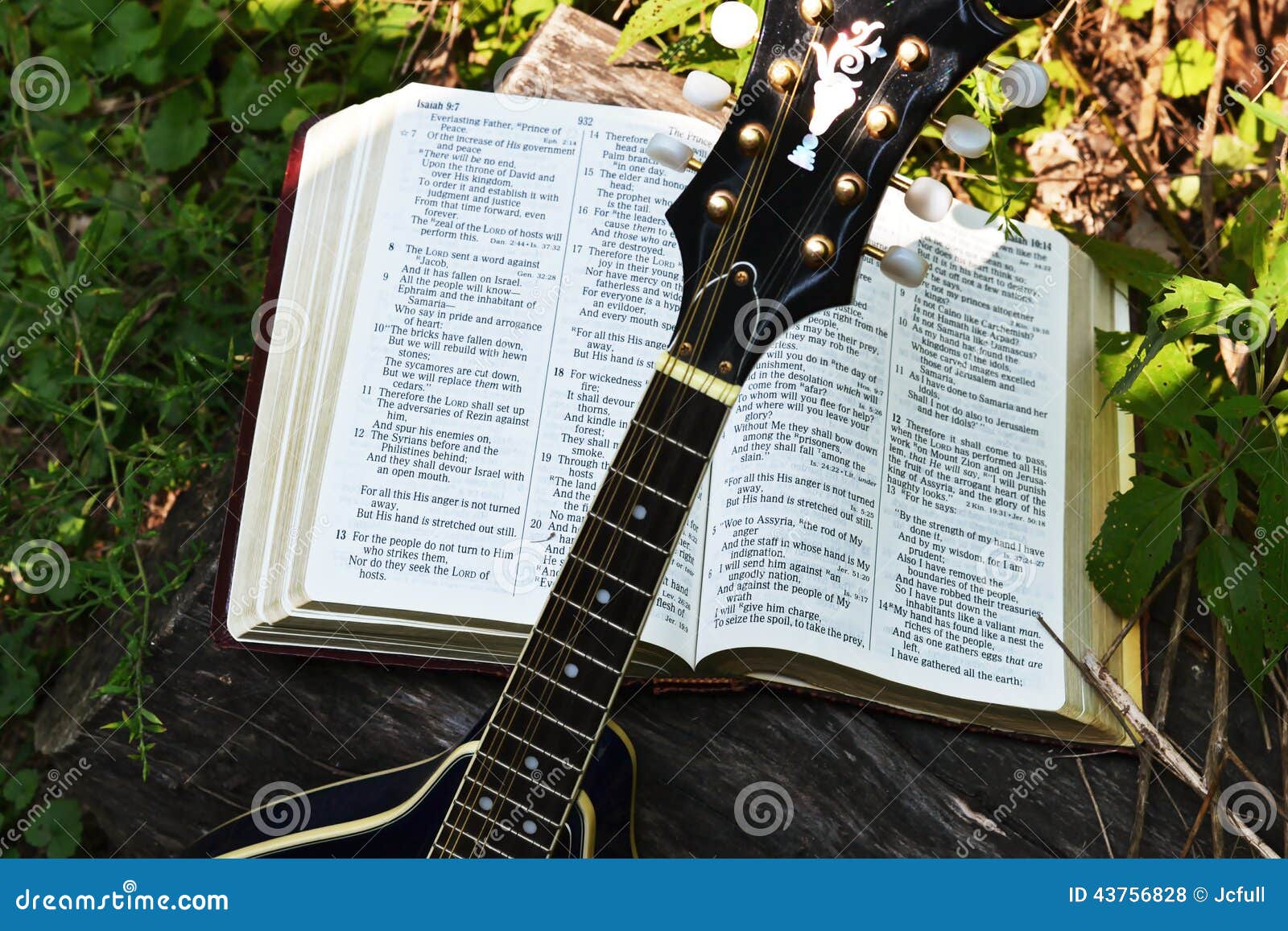 A Shining Bible, A Bright Beam Of Light And A White Dove Of The Holy ...