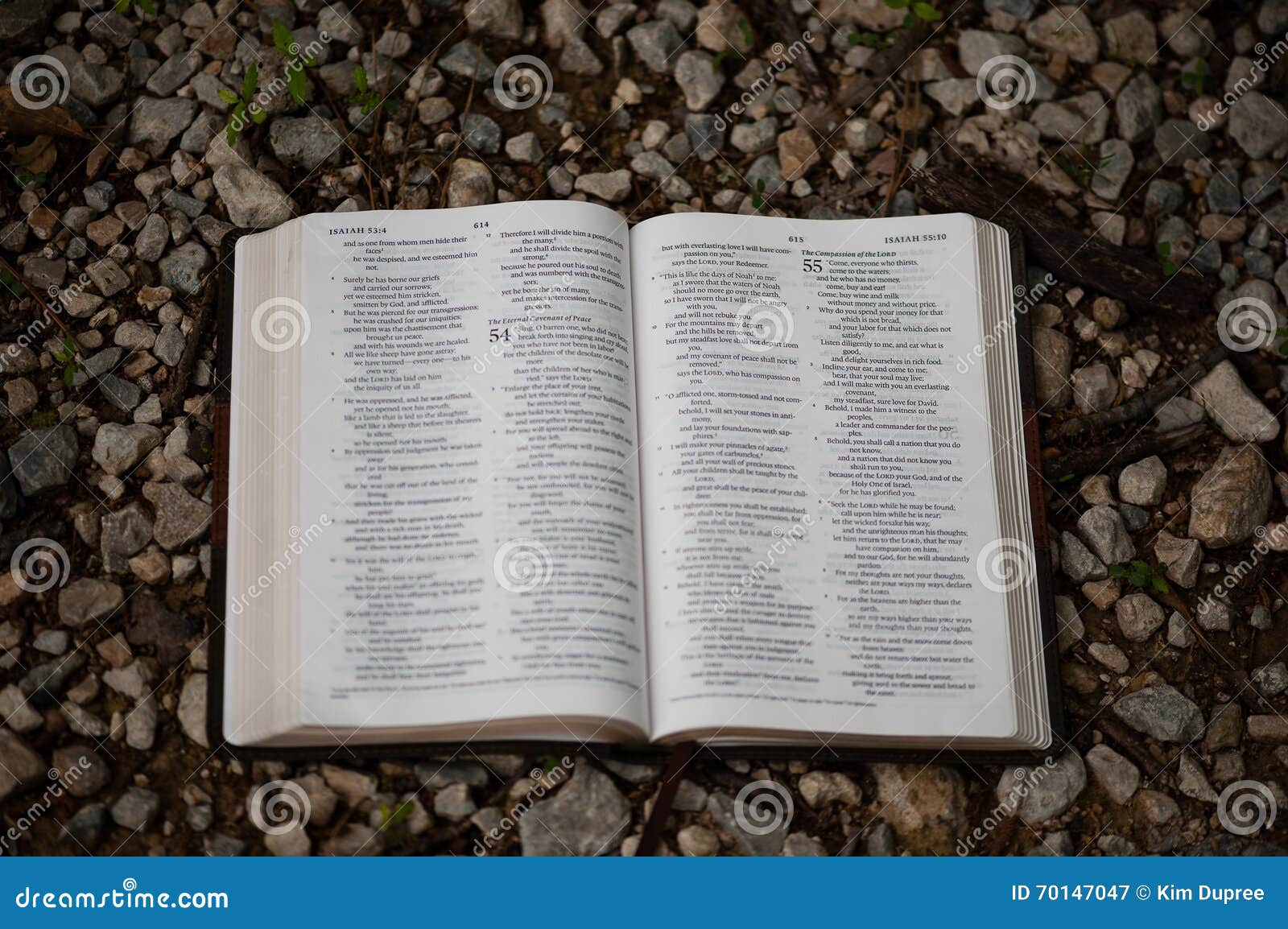 Bible Rock In The Central Part Of Sri Lanka Royalty-Free Stock Image ...