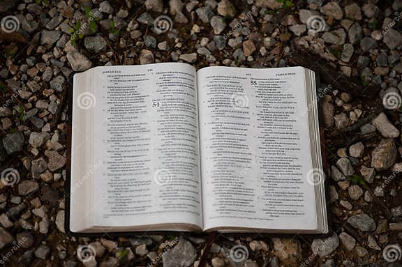 Open bible stock image. Image of song, still, book, girl - 70147047