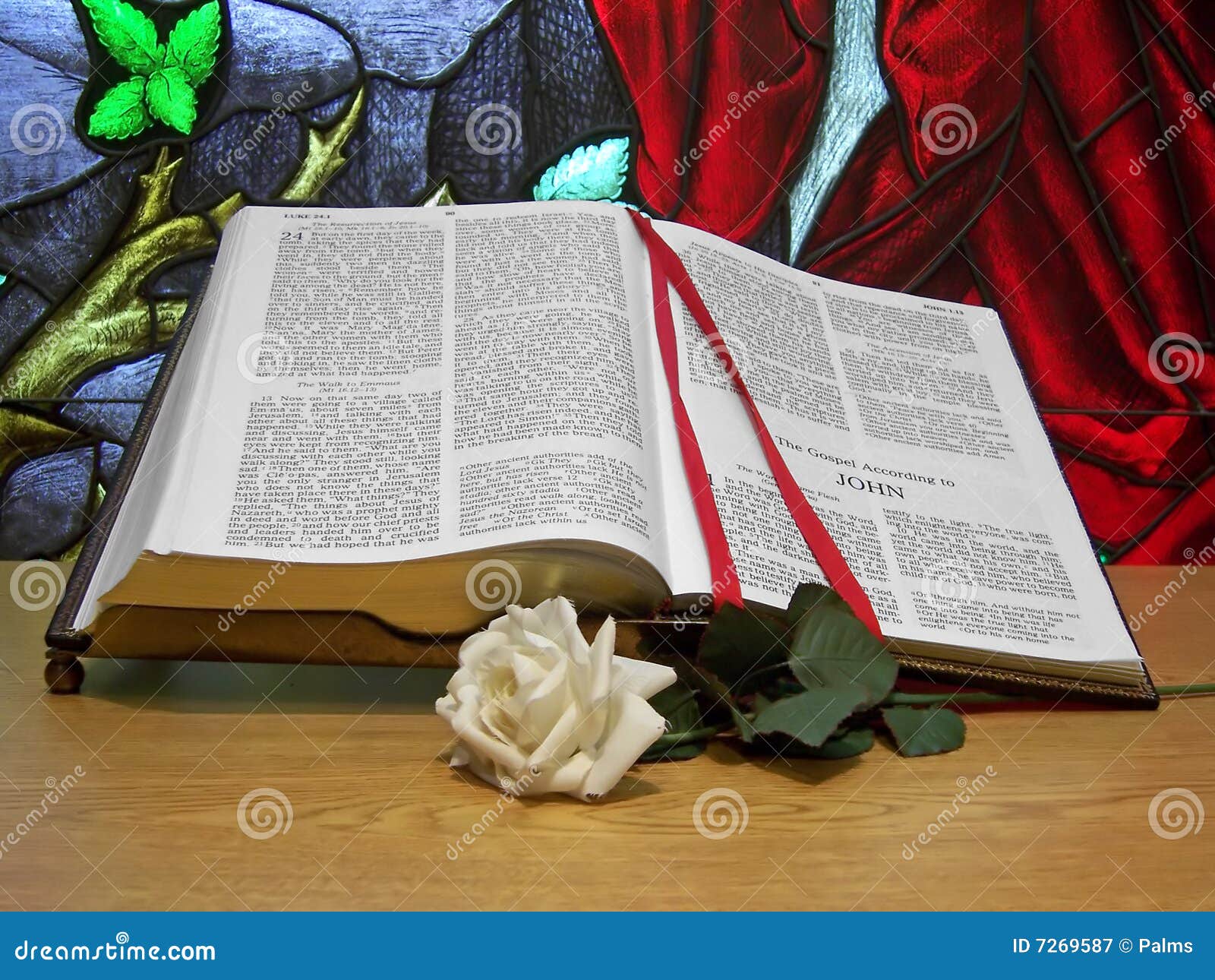 Open bible and white rose stock image. Image of blossom - 7269587