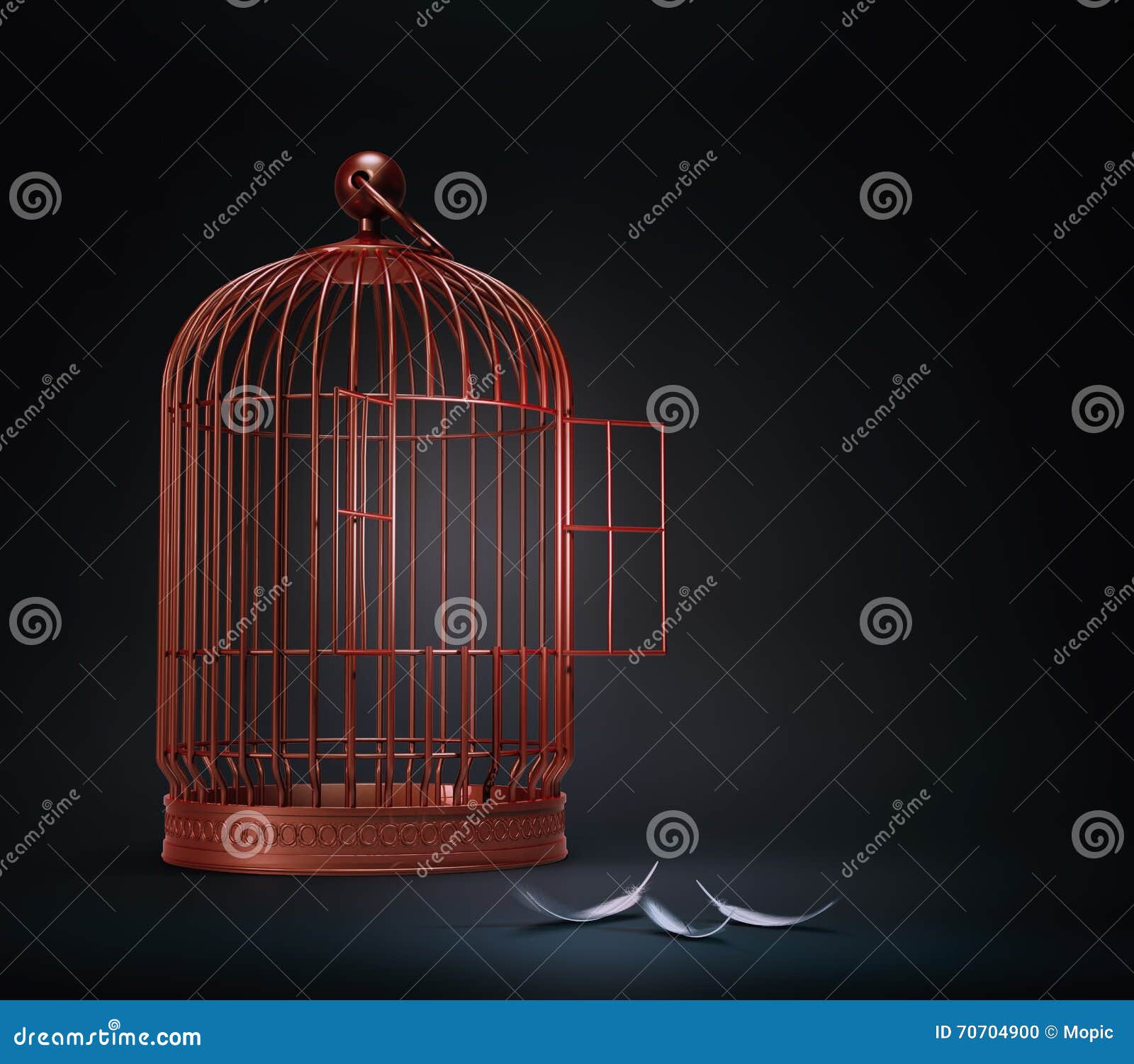 Open Bird Cage