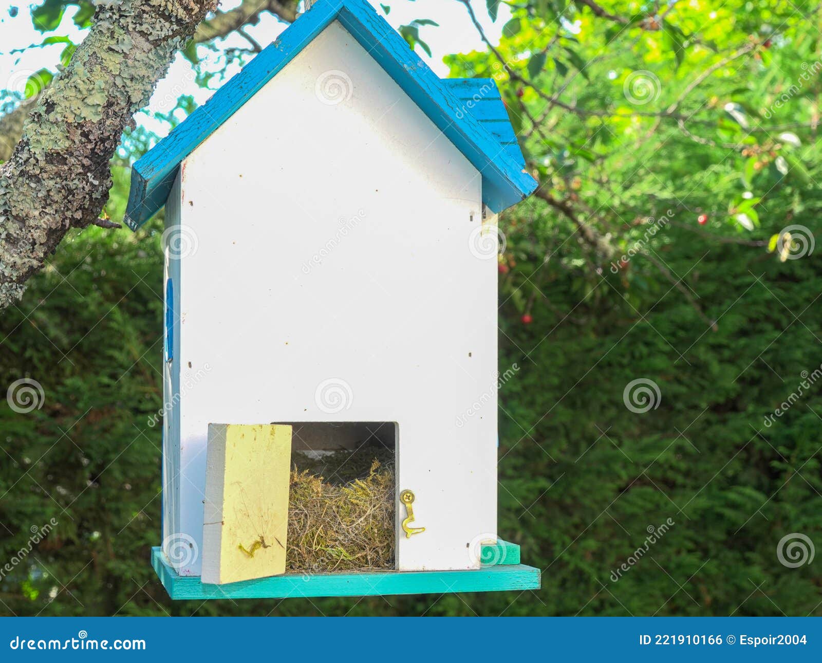 Open Birdhouse in a Tree with an Empty Nest Inside Stock Photo - Image ...