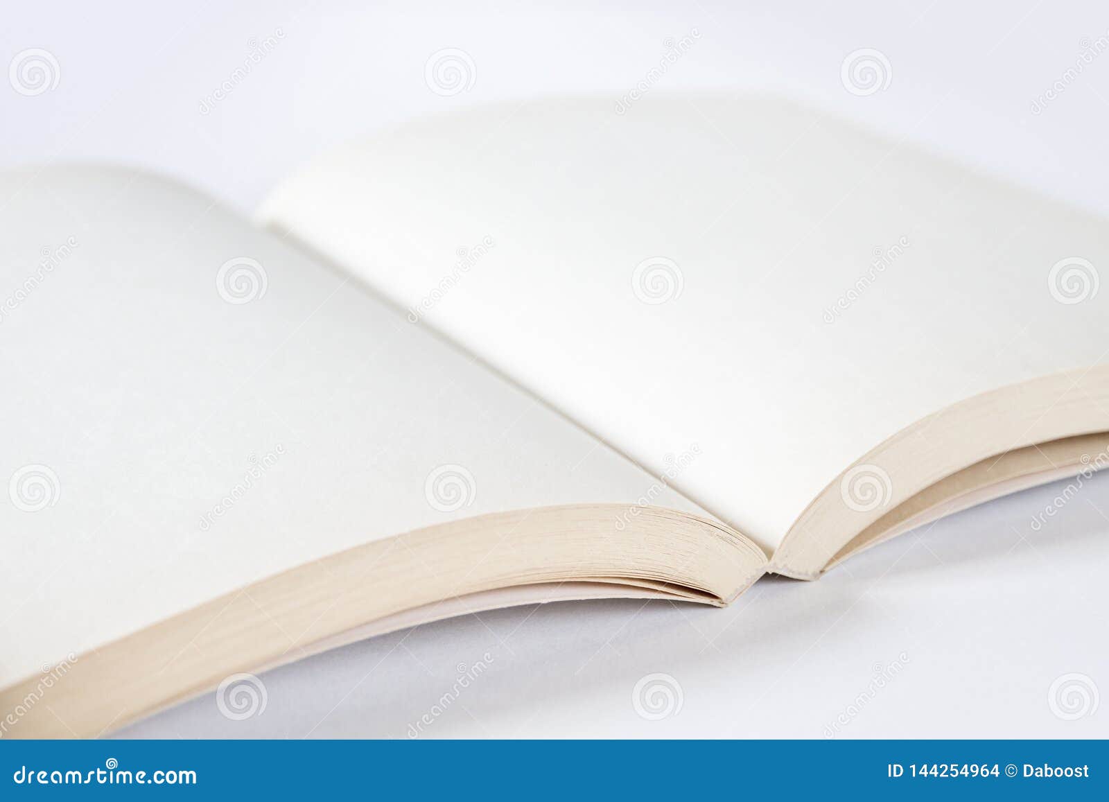 Open blank book mockup stock photo. Image of education - 144254964