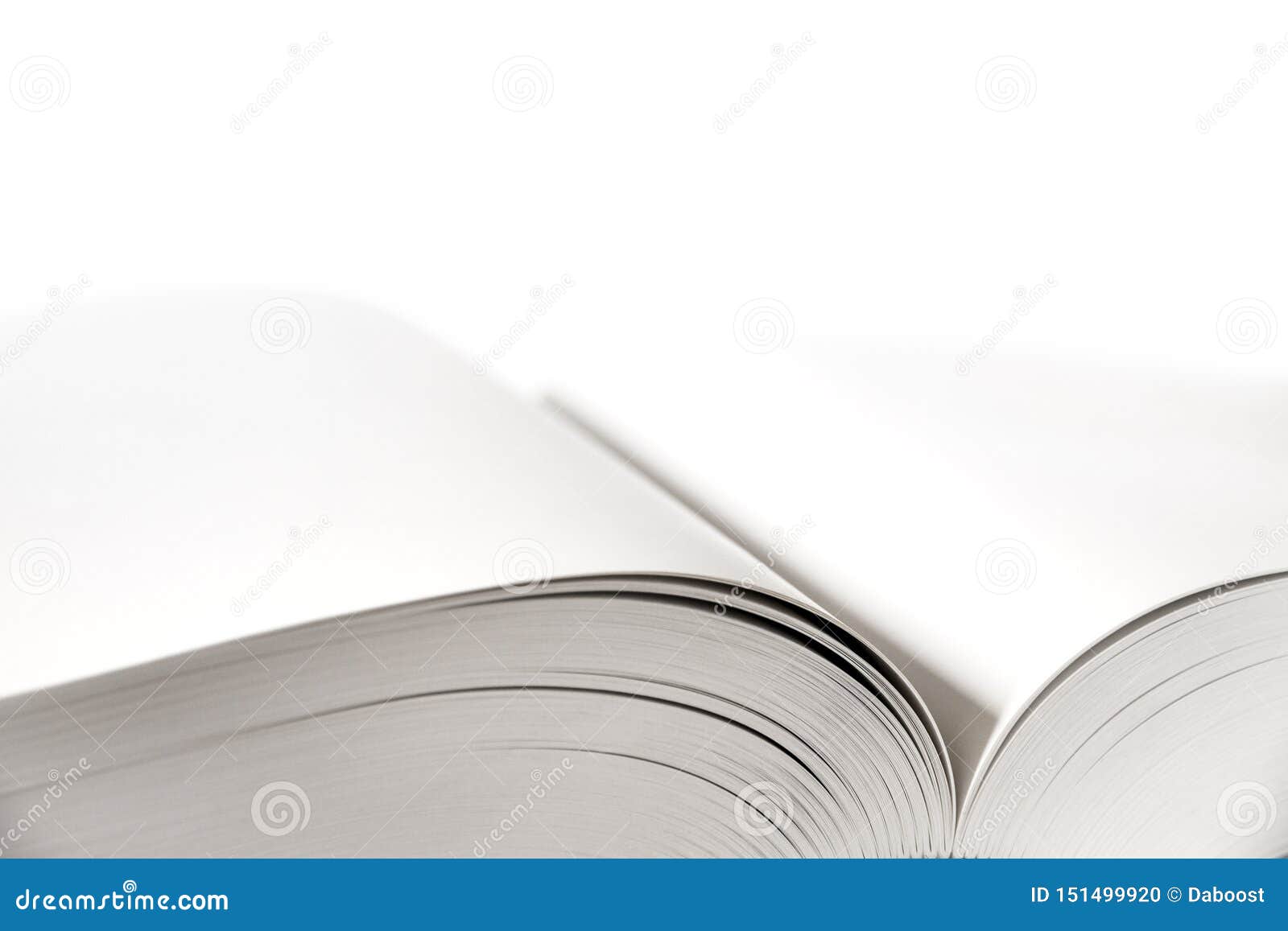 Open Blank Dictionary, Book on White Background Stock Photo - Image of ...