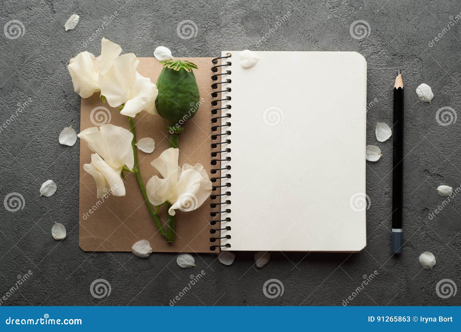 Open Blank Journal with Flowers Stock Image - Image of grey, poppy ...