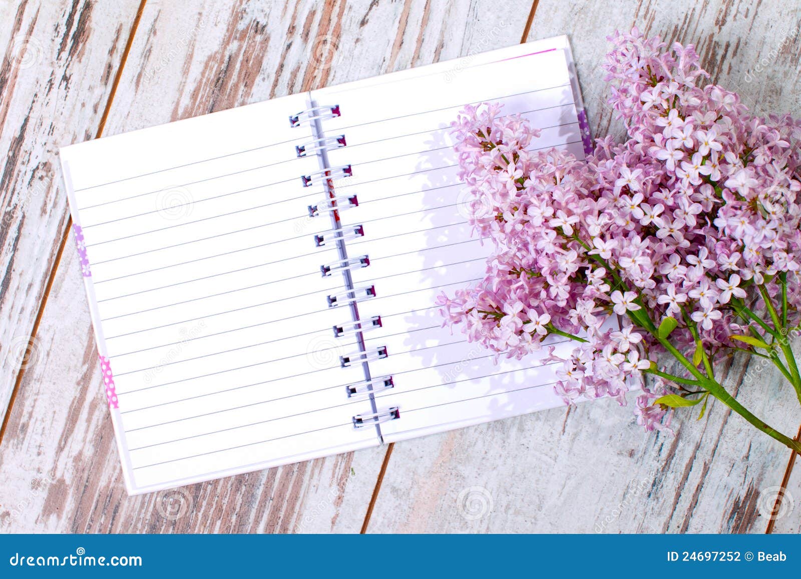 Open Blank Notebook Ready To Write ... Stock Photo - Image of bright ...