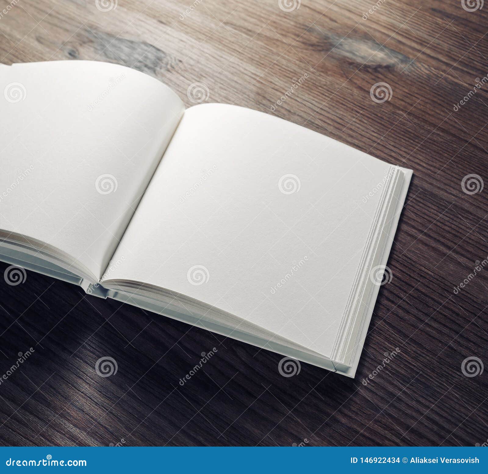 Open blank notebook stock photo. Image of catalogue - 146922434