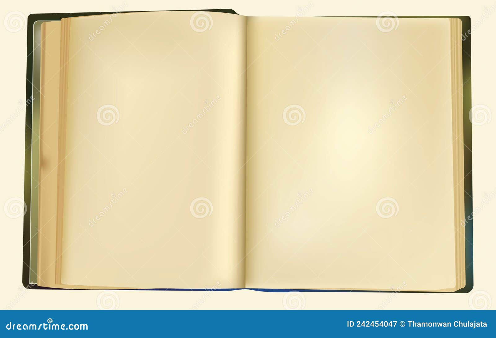Open Blank Pages in an Old Book Stock Vector - Illustration of open ...