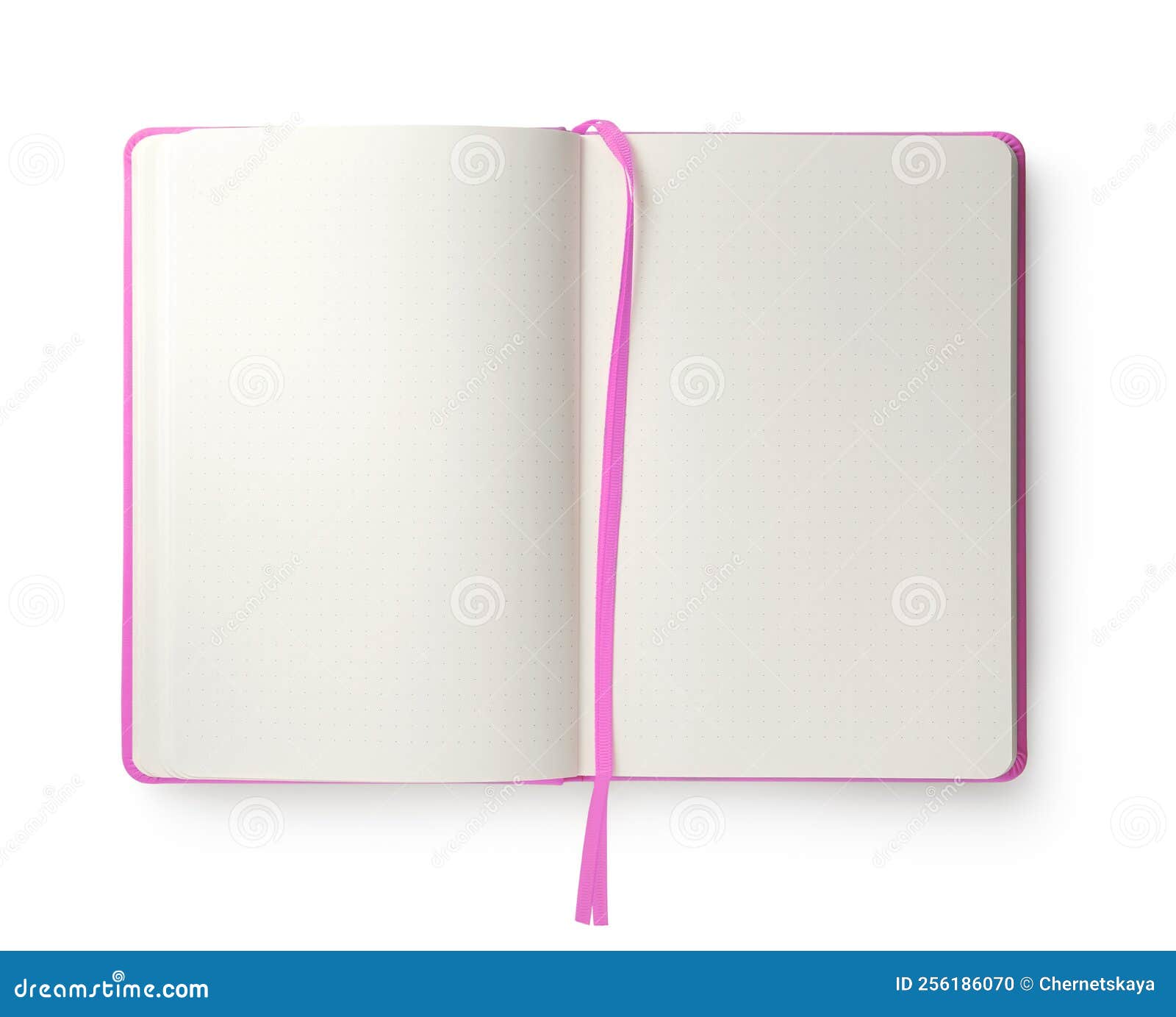 Open Blank Pink Notebook Isolated on White, Top View Stock Photo ...