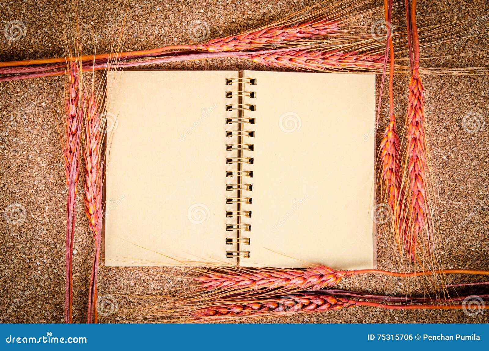 Open Blank Vintage Diary with Wheat. Stock Photo - Image of gothic ...