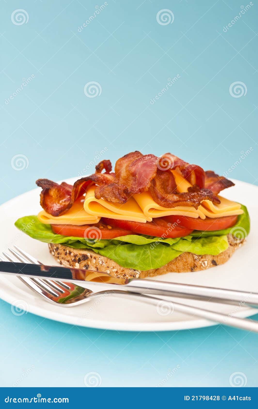 Blt Open Stock Photos - Free & Royalty-Free Stock Photos from Dreamstime
