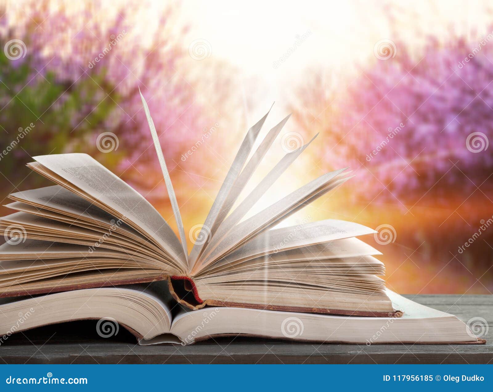 Open Boek stock afbeelding. Image of boek, uitziend - 117956185