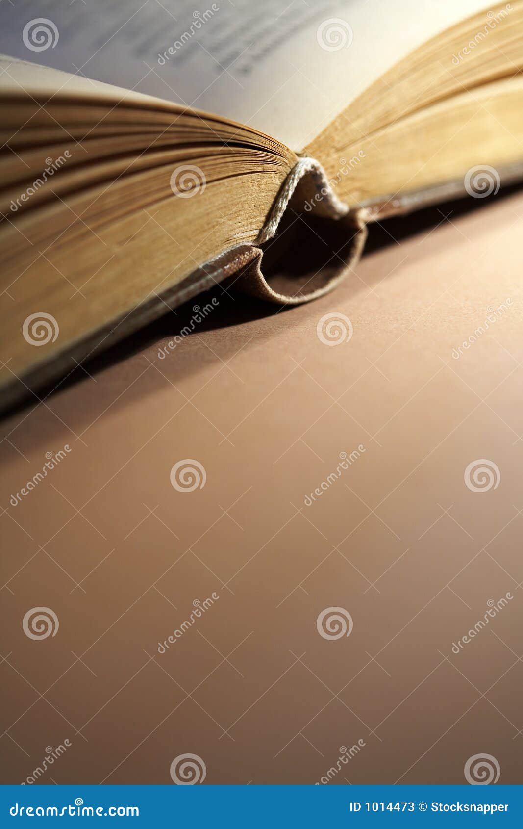 Open Book stock image. Image of library, knowledge, paper - 1014473