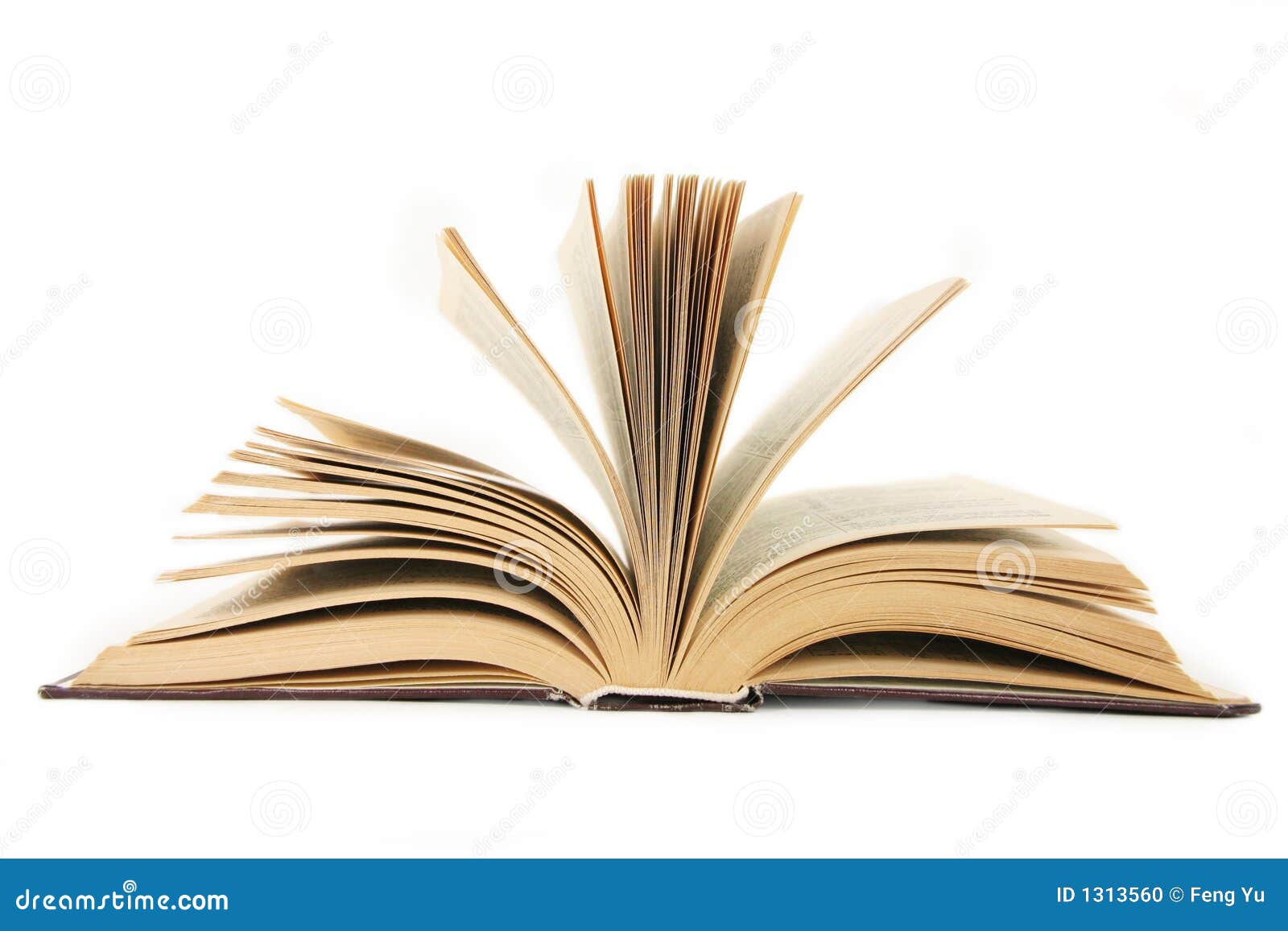Open book stock photo. Image of knowledge, history, paper - 1313560