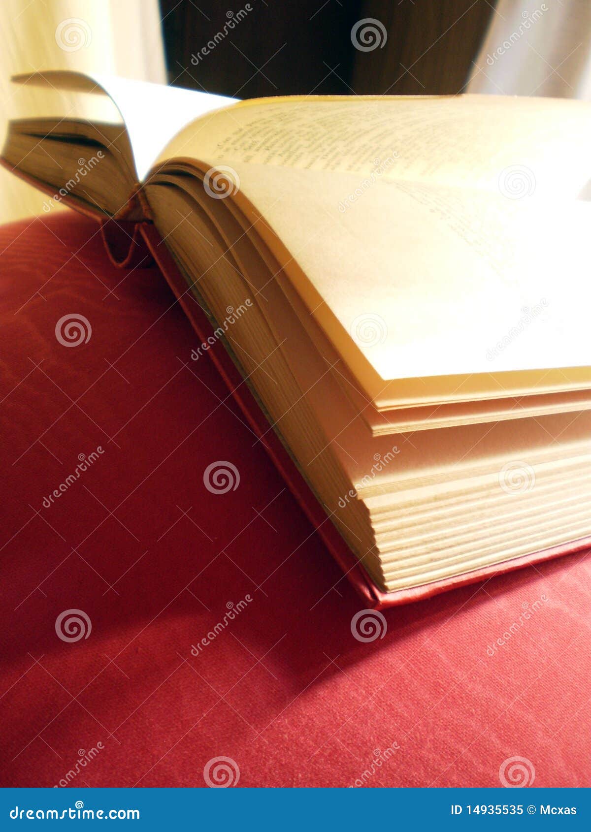 Open book stock image. Image of novel, read, bible, bestseller - 14935535