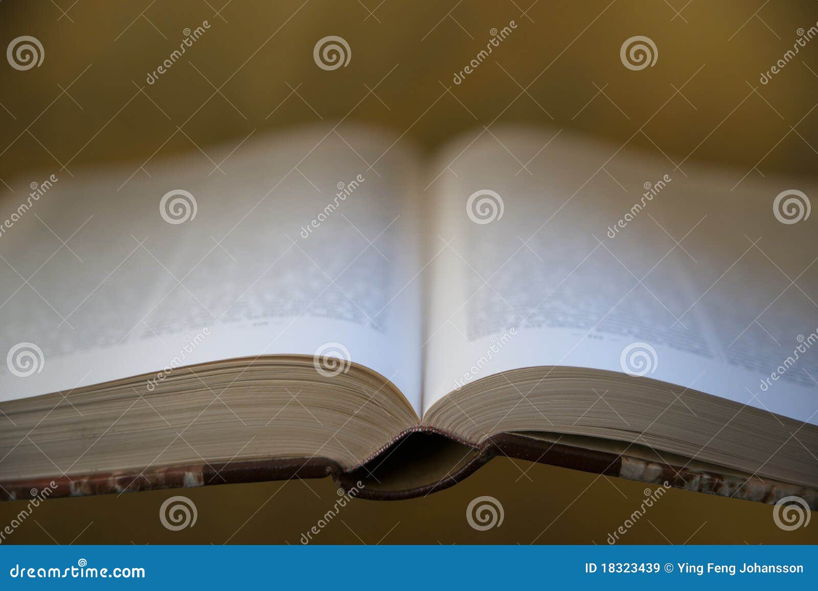 Open book stock image. Image of history, write, reading - 18323439
