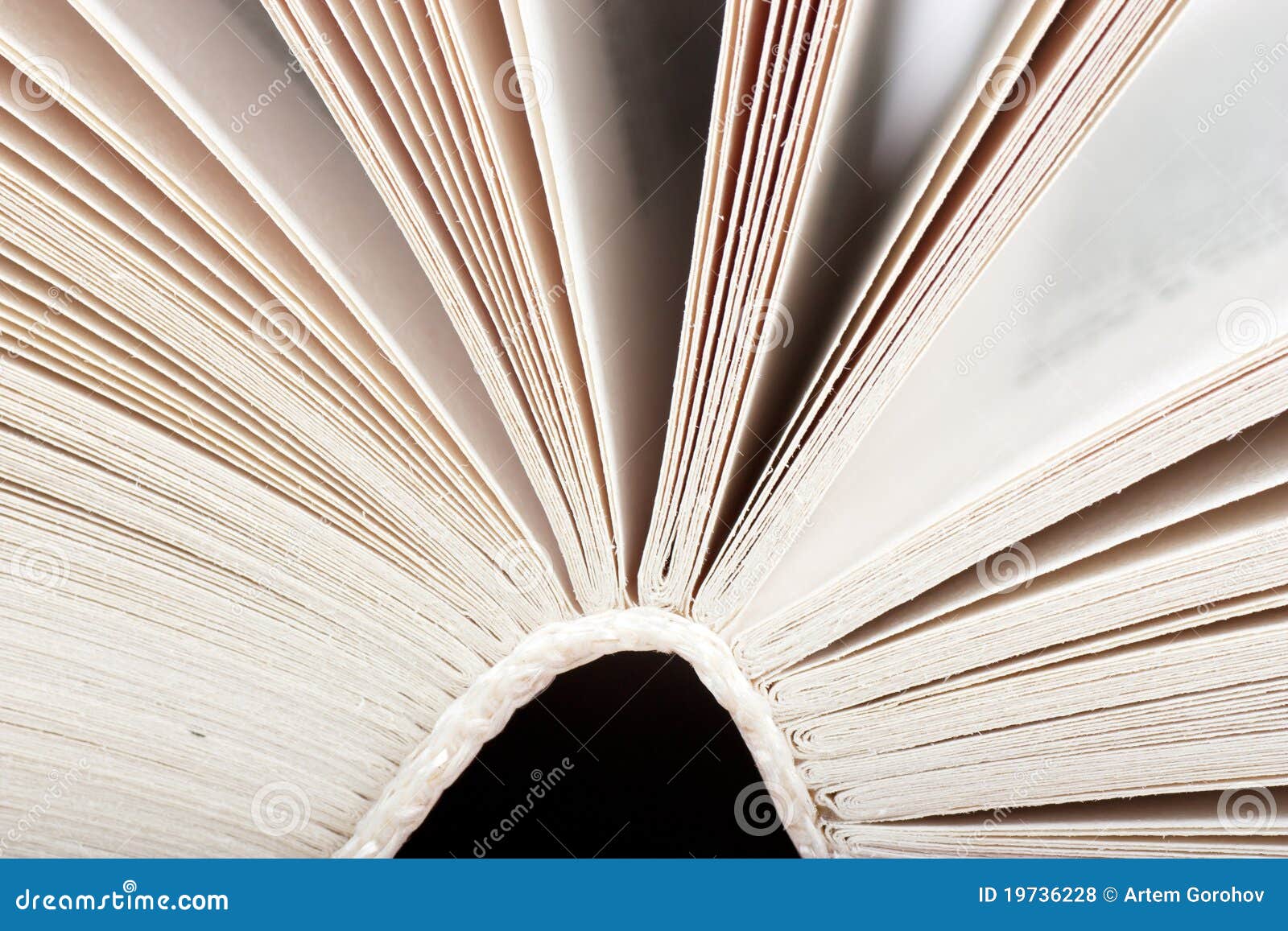 Open book stock photo. Image of novel, education, horizontal - 19736228