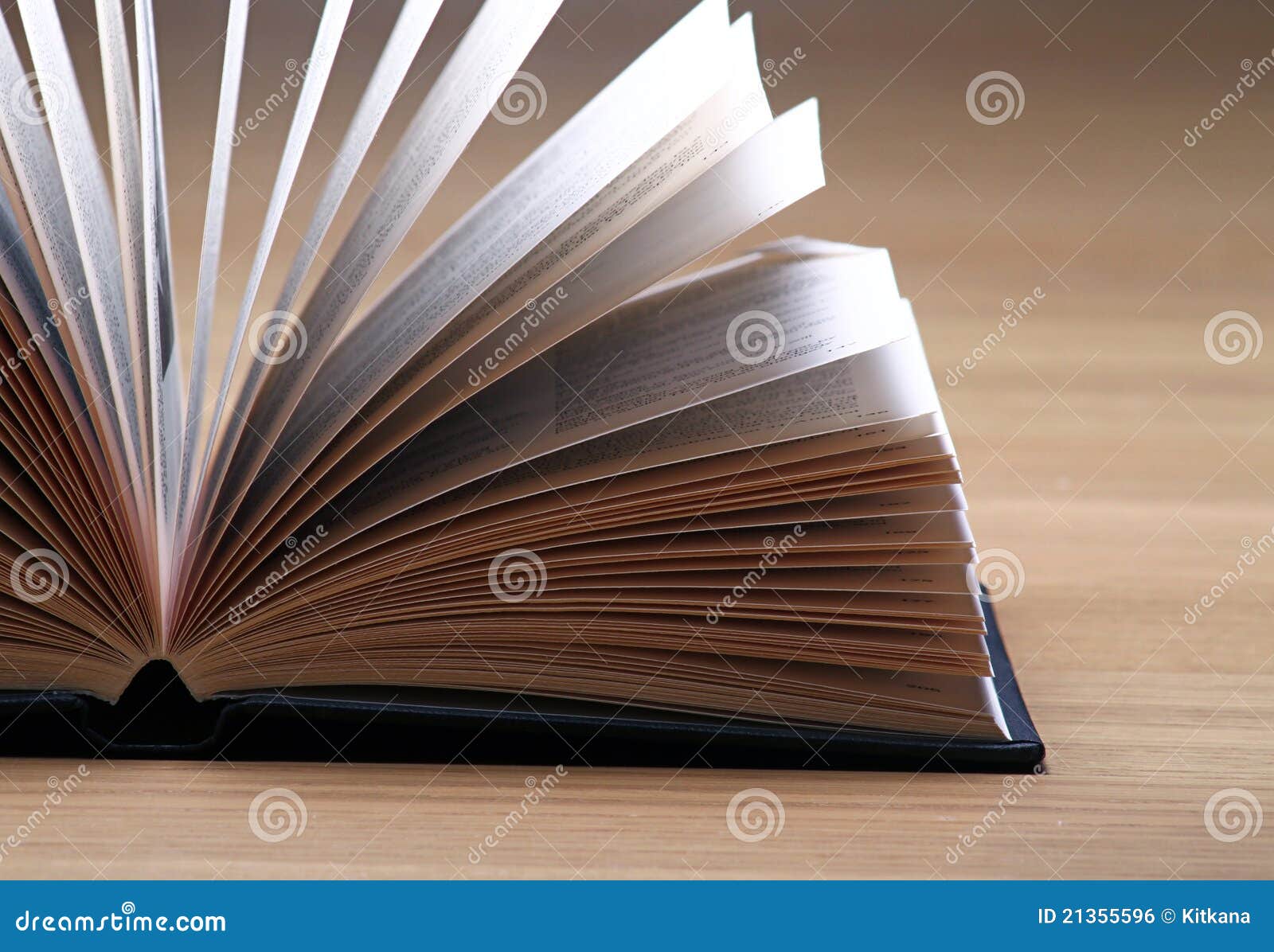 Open book stock photo. Image of spine, single, open, page - 21355596