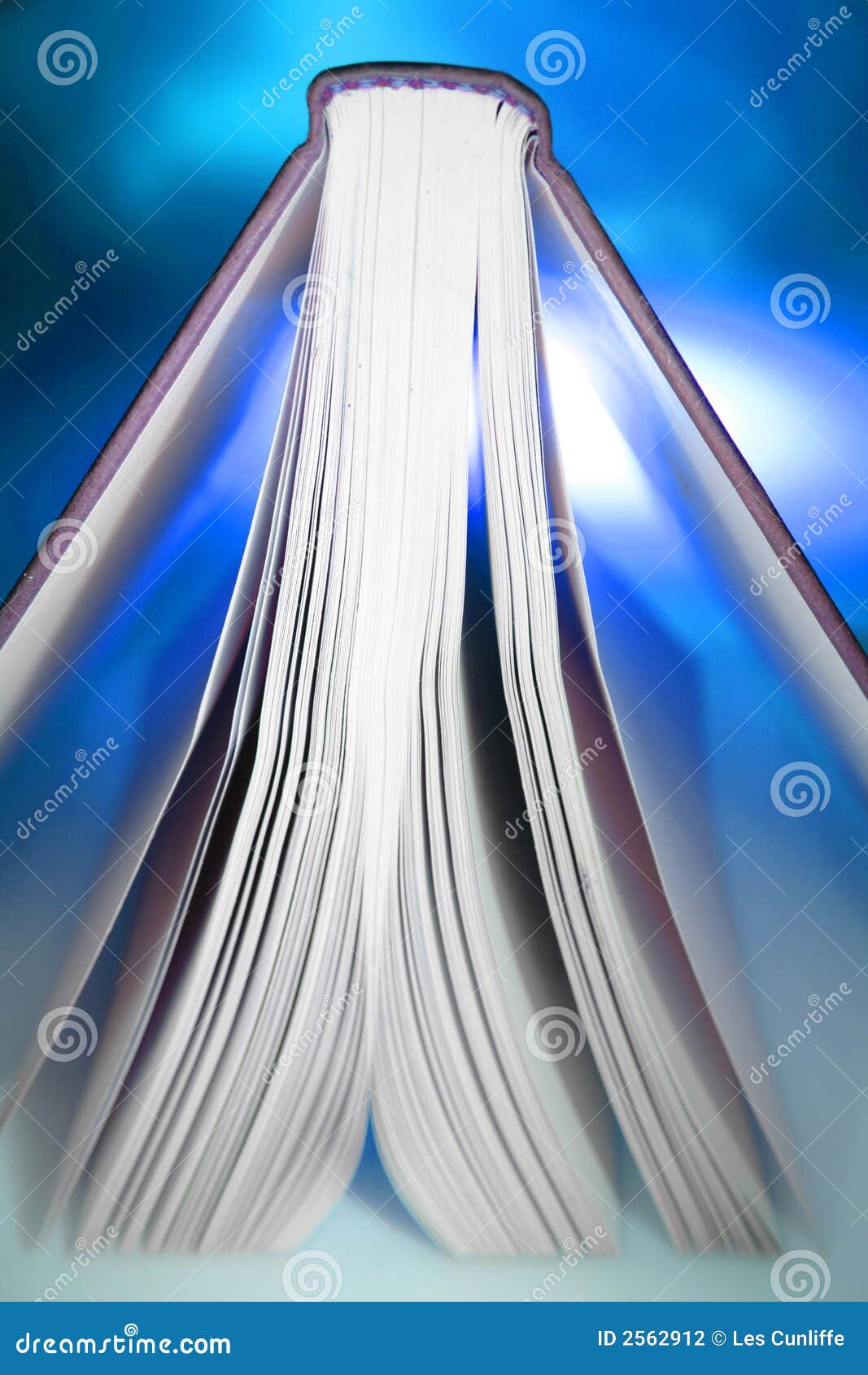 Open book stock photo. Image of read, life, study, close - 2562912