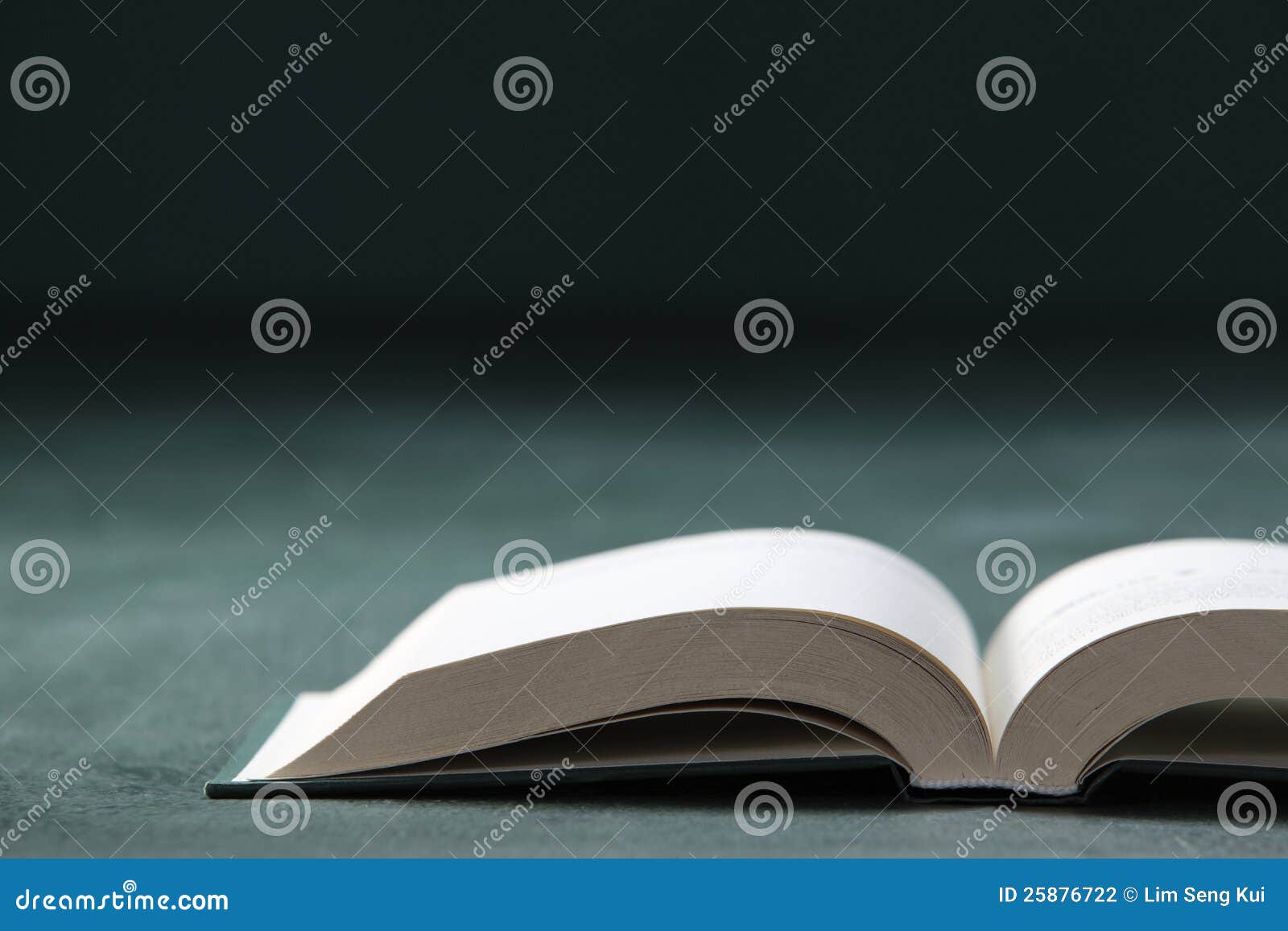 Open Book stock photo. Image of reading, education, life - 25876722