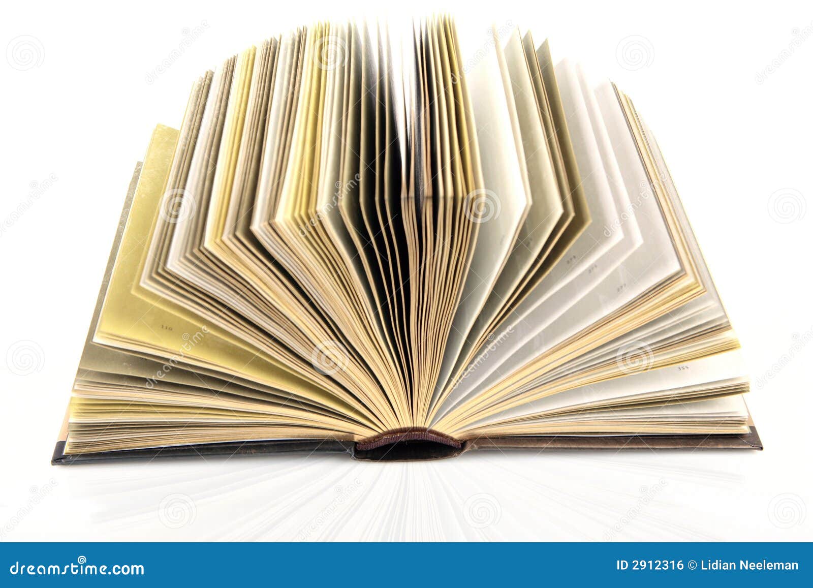 Open book stock photo. Image of isolated, reflection, movement - 2912316