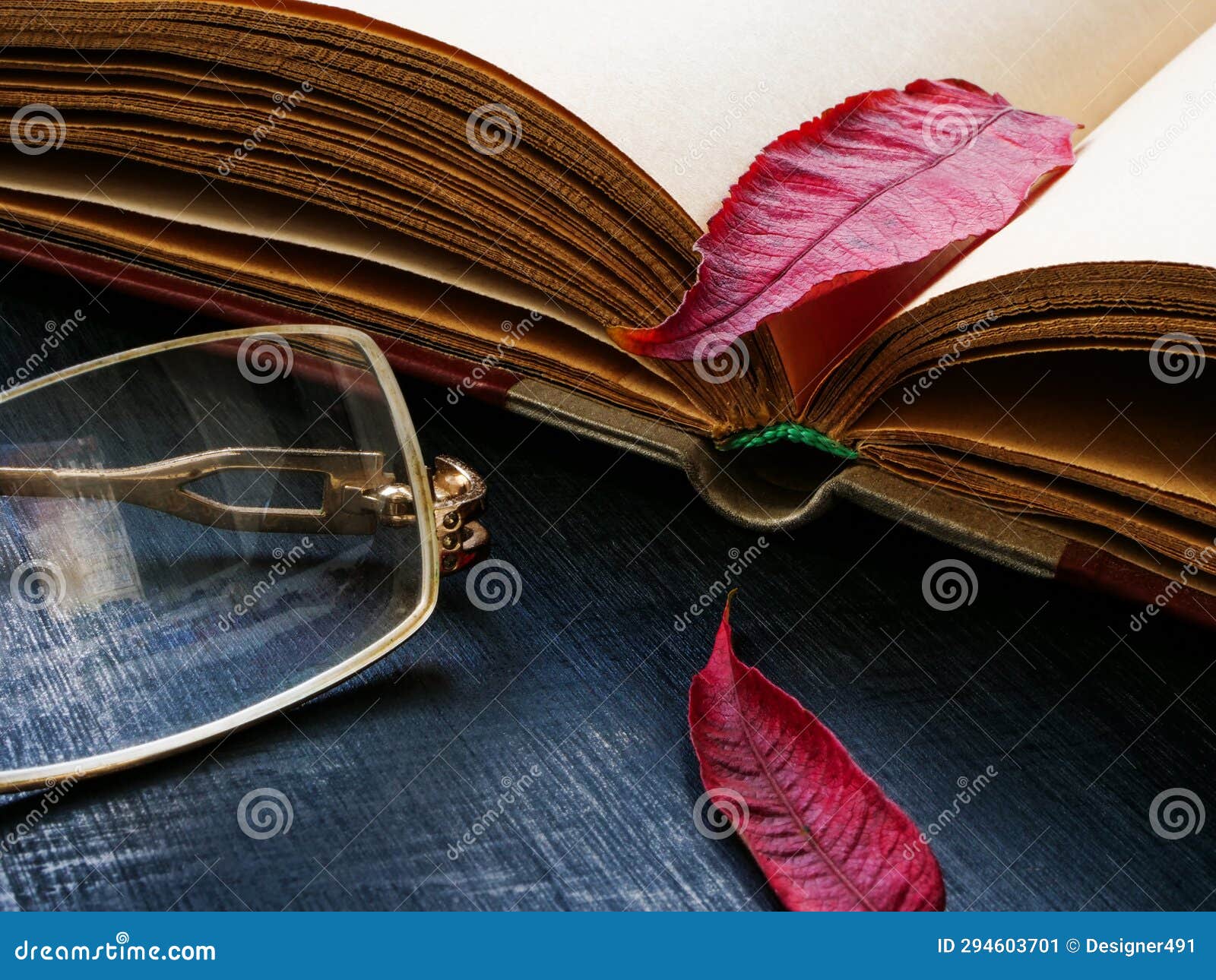An Open Book with an Autumn Leaf As Symbol of Calm and Relaxation while ...