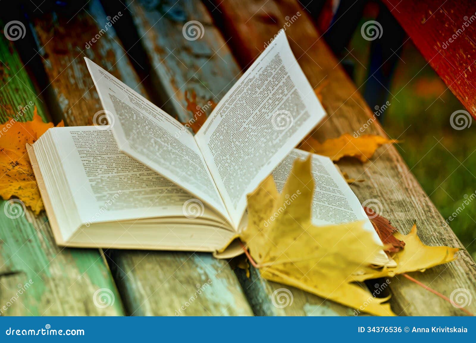 Open Book and Autumn Leaves Stock Photo - Image of lonely, background ...