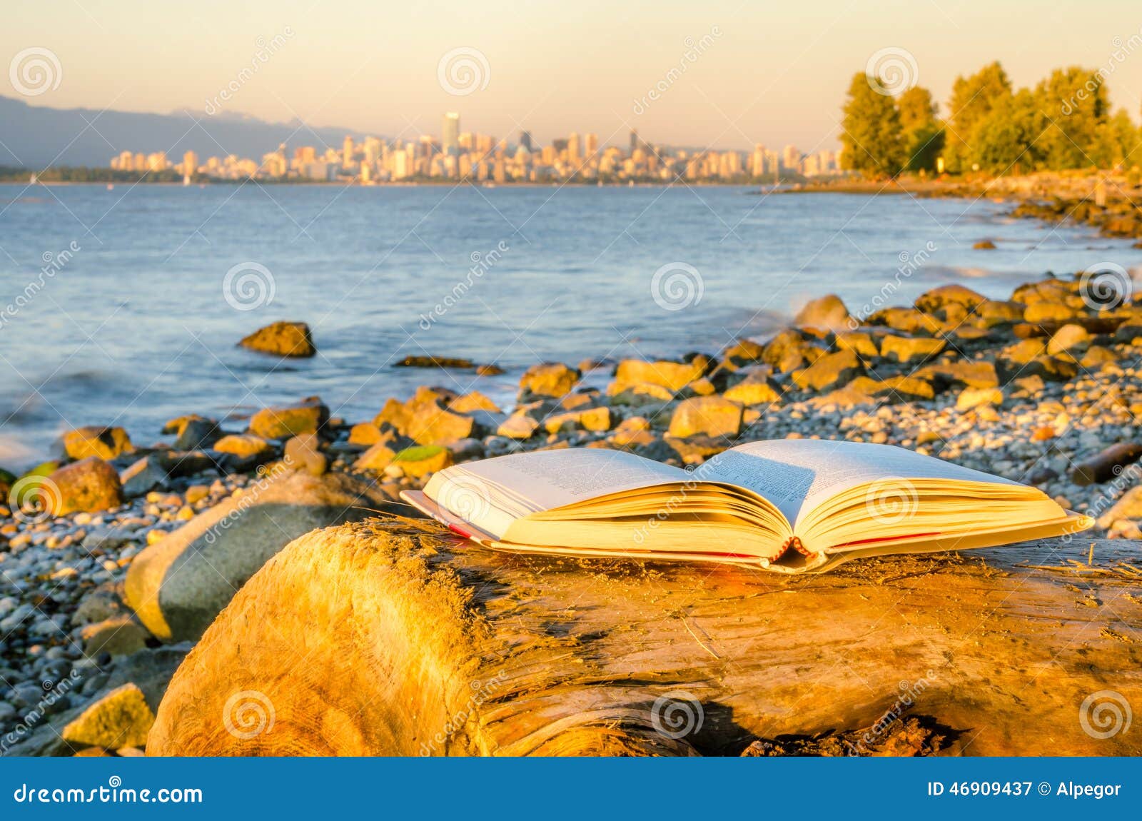 Open Book on a Beach at Sunset Stock Image - Image of colourful, beach ...