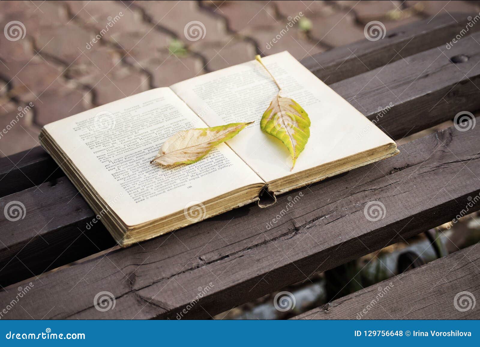 Open Book on a Bench with an Autumn Leaf Stock Photo - Image of ...