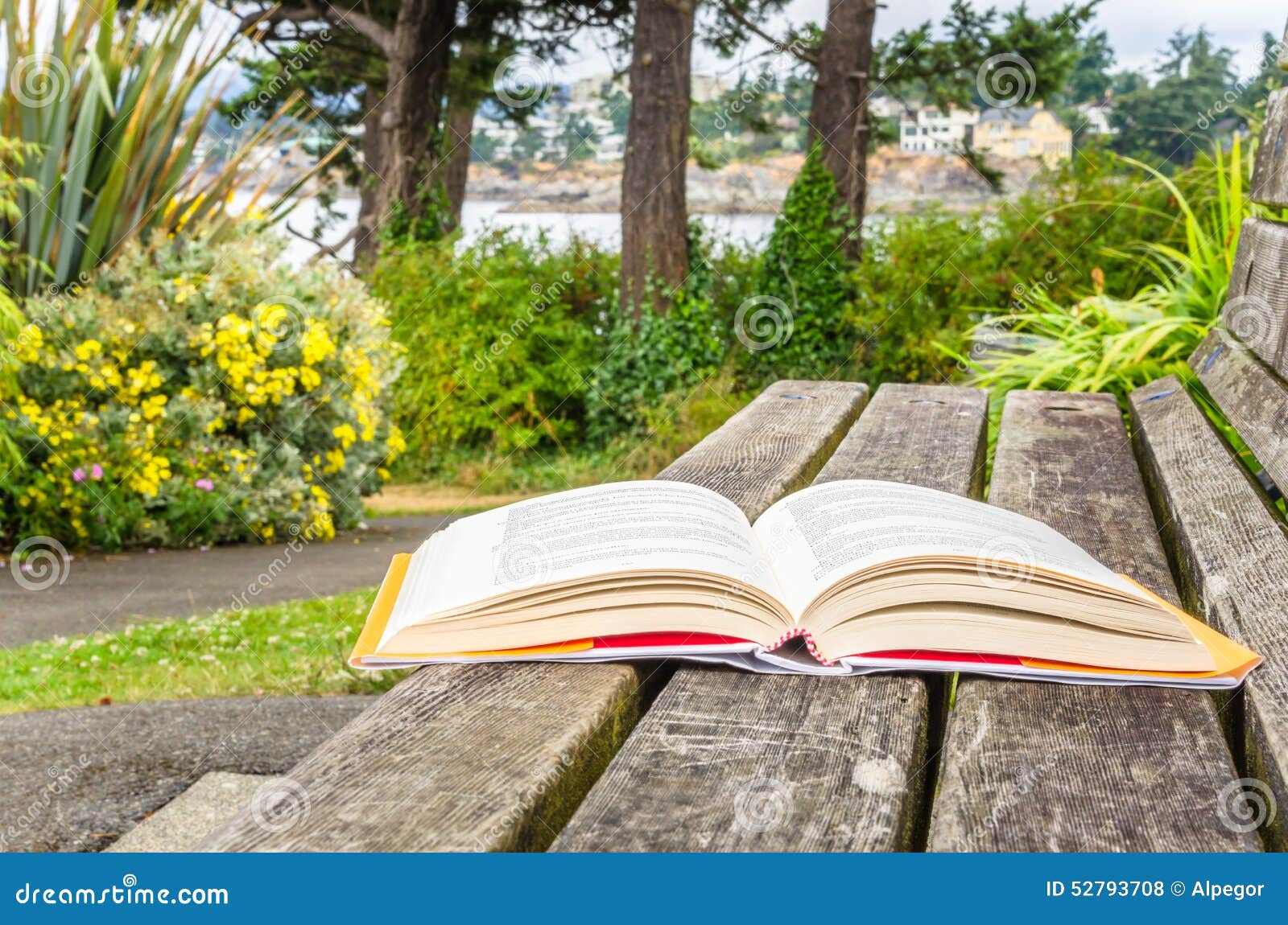 Open Book on a Bench stock photo. Image of literature - 52793708