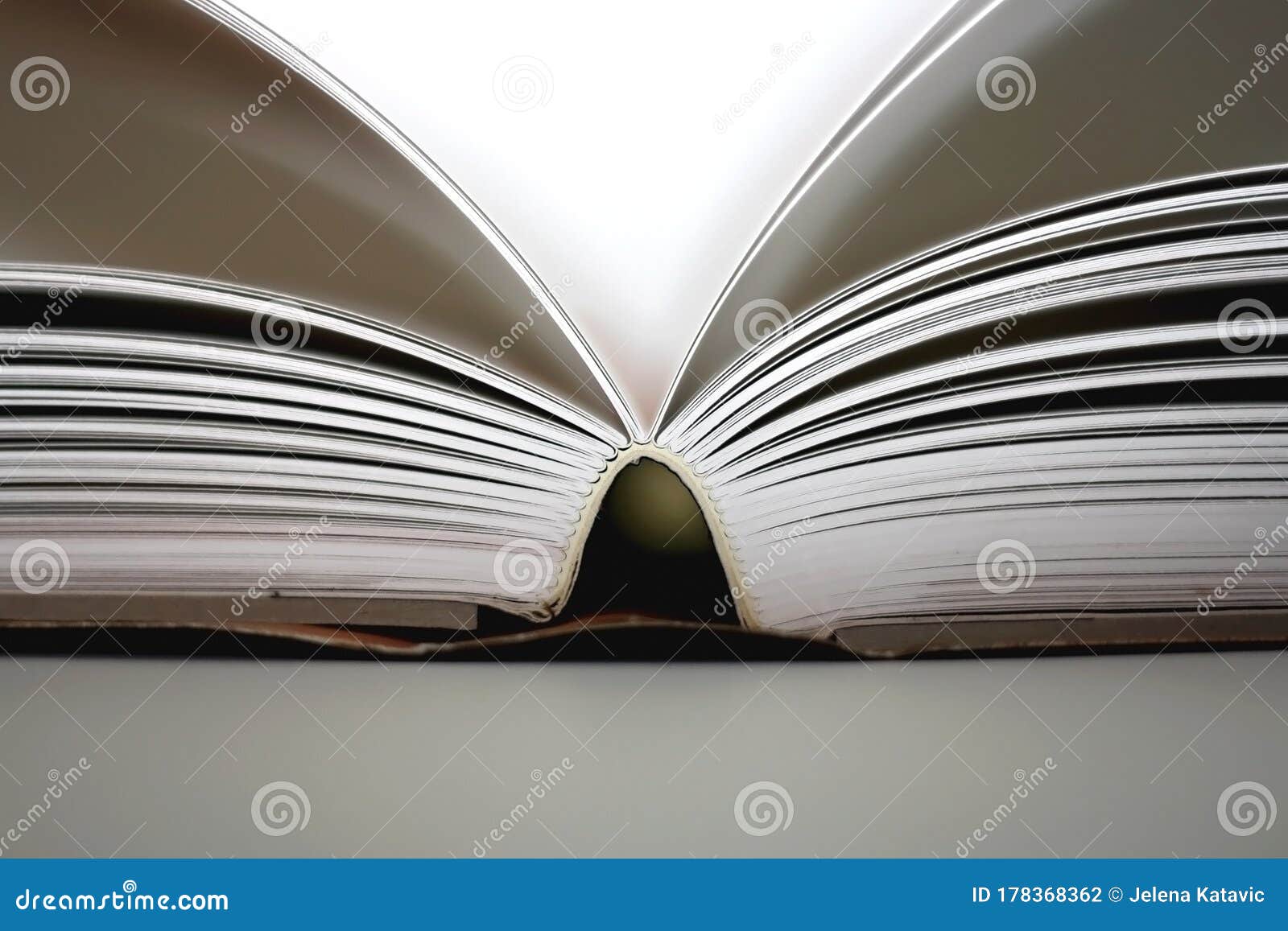 Open Book stock photo. Image of information, library - 178368362