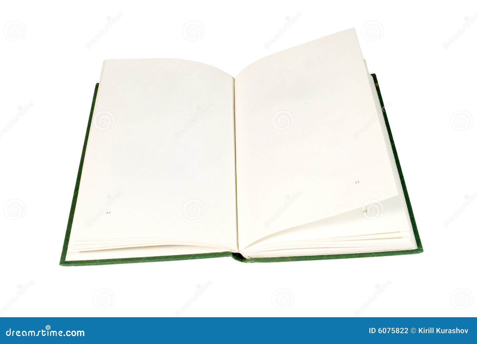 Open Book With Blank Pages Picture. Image: 6075822