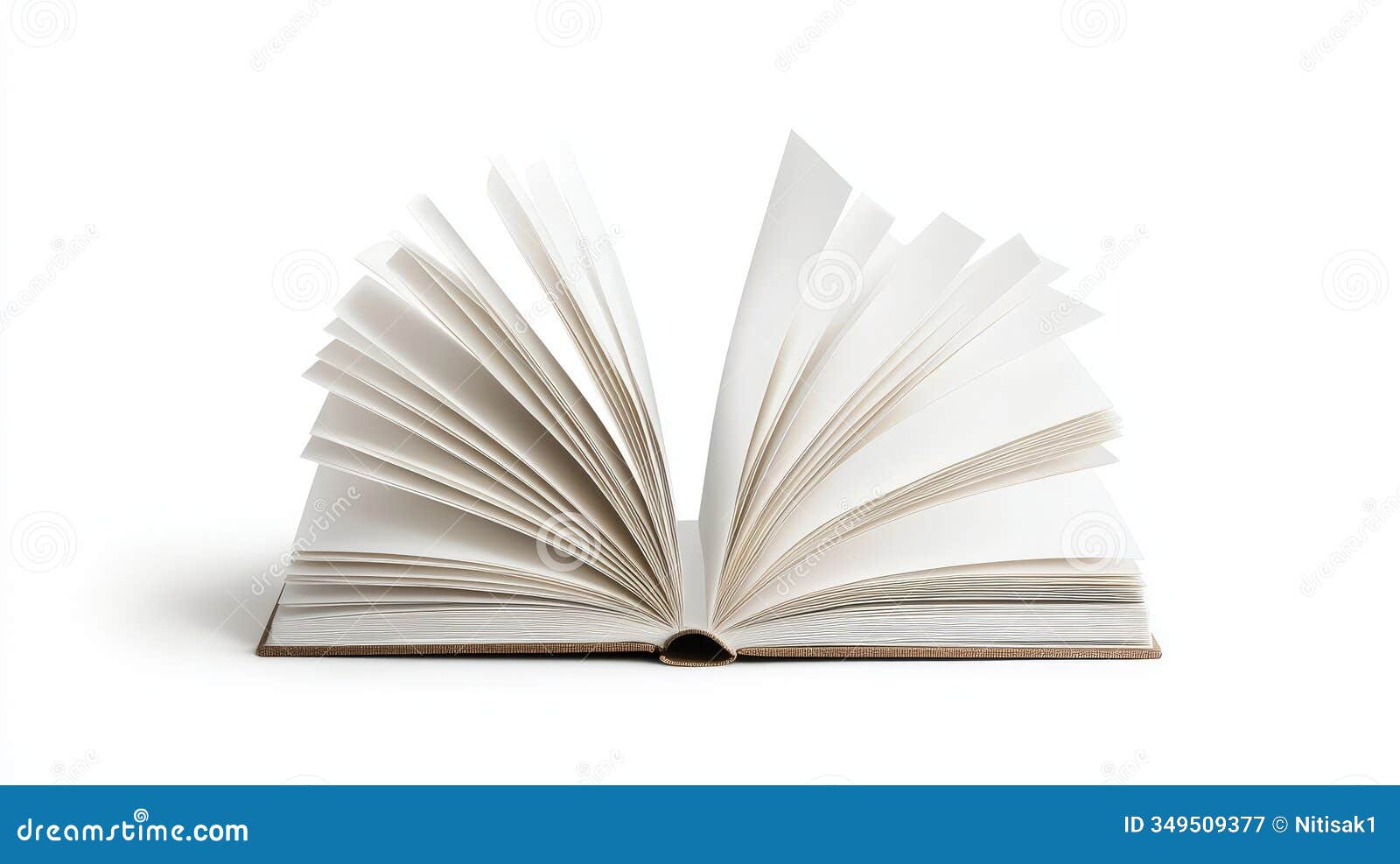 An Open Book with Blank Pages Ideal for Creative Writing Journaling or ...