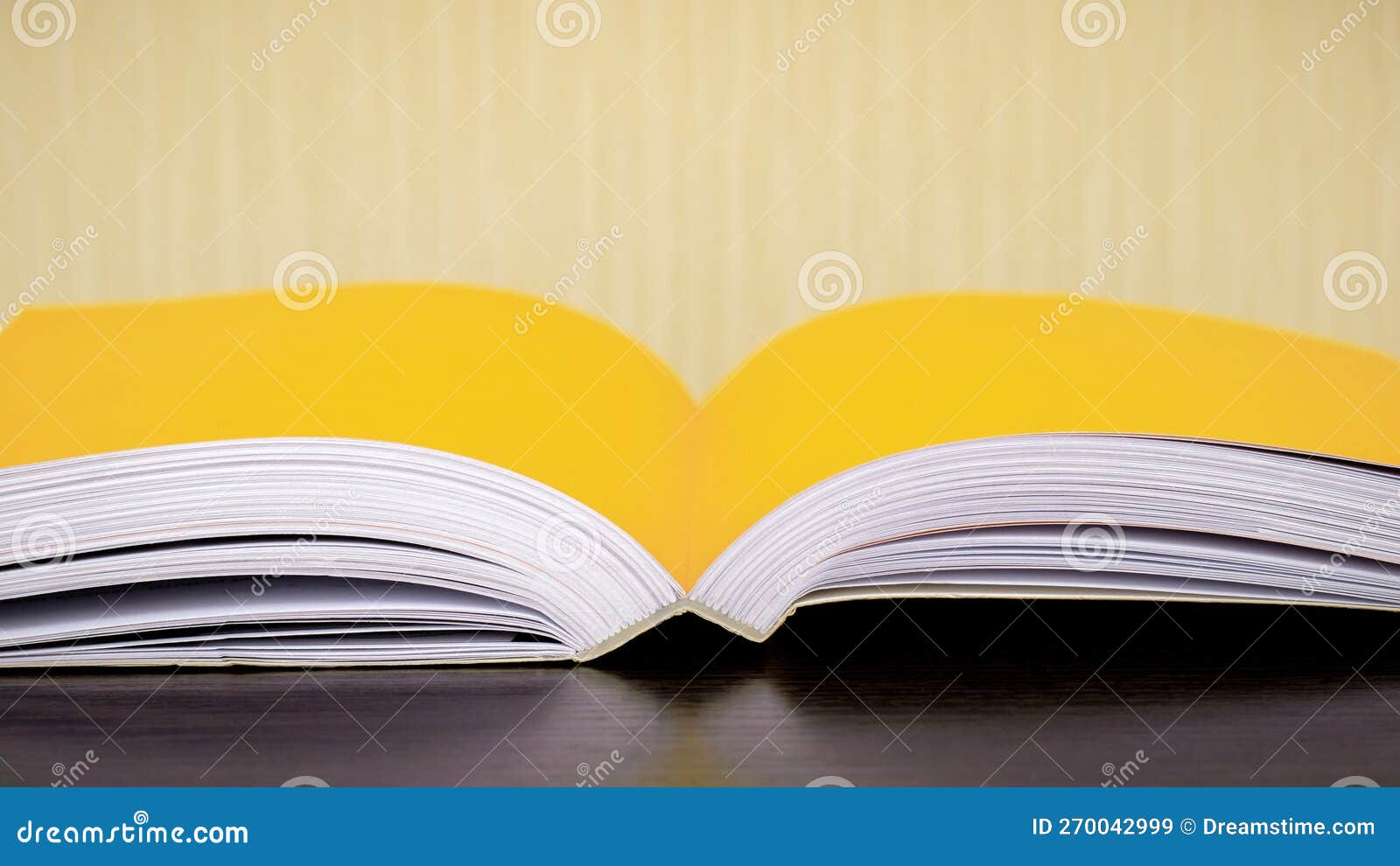 An Open Book with Blank Pages on the Table Stock Image - Image of ...