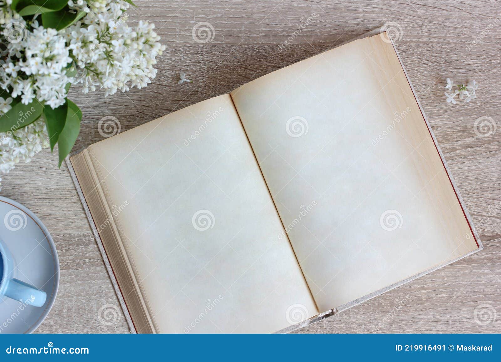 Open Book with Blank Pages on the Table, Top View Stock Image - Image ...