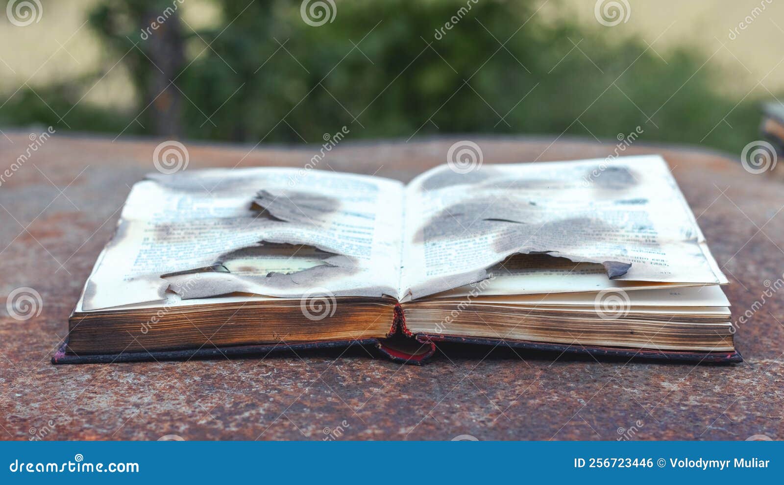An Open Book with Burnt Pages after a Fire Stock Photo - Image of paper ...