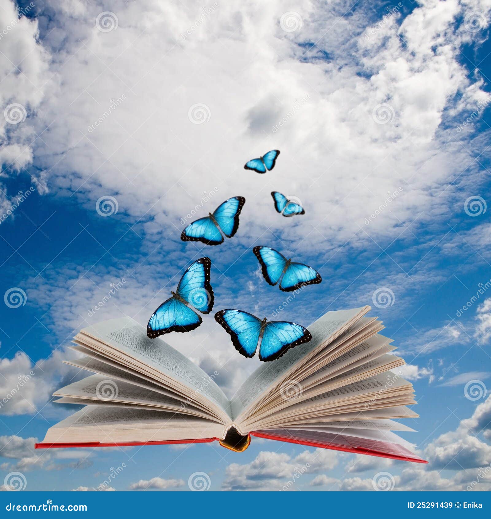 Open book and butterflies stock image. Image of white - 25291439