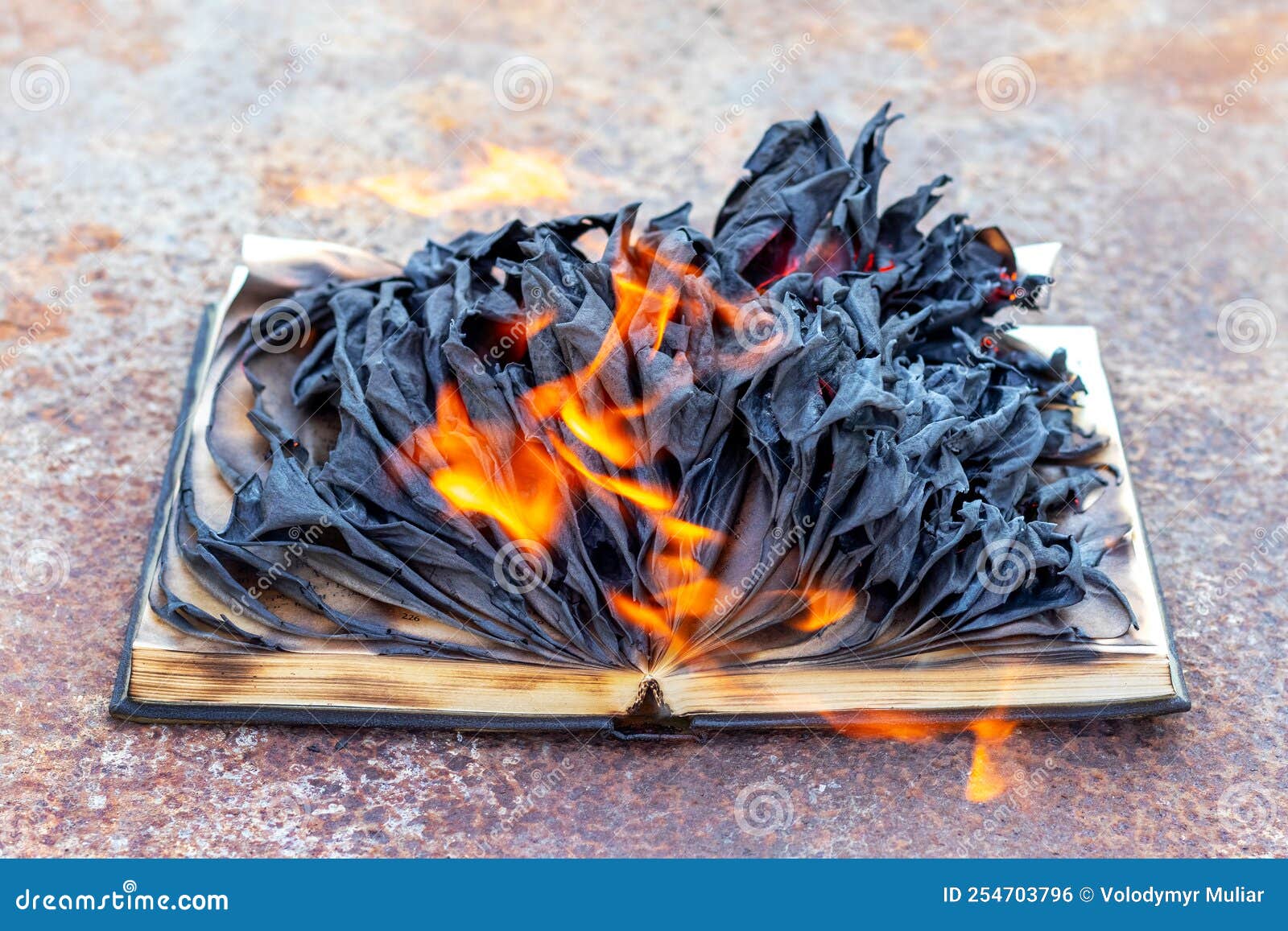An Open Book with Charred Pages is Burning Stock Photo - Image of ...