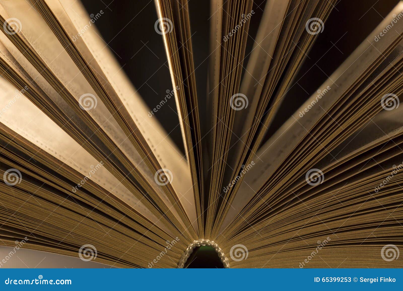 Open book close-up stock image. Image of closeup, library - 65399253