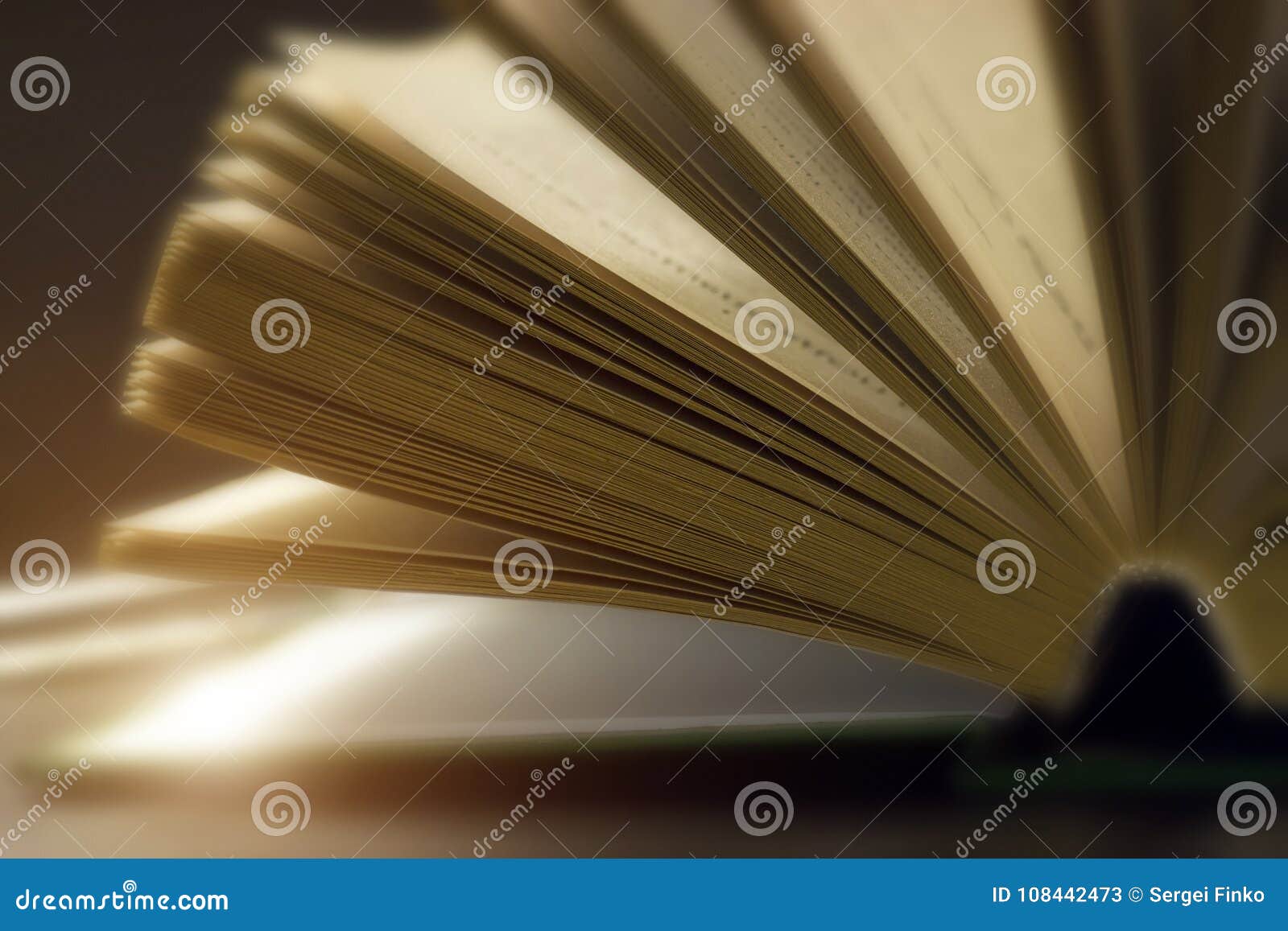 Open book close-up stock image. Image of data, literature - 108442473