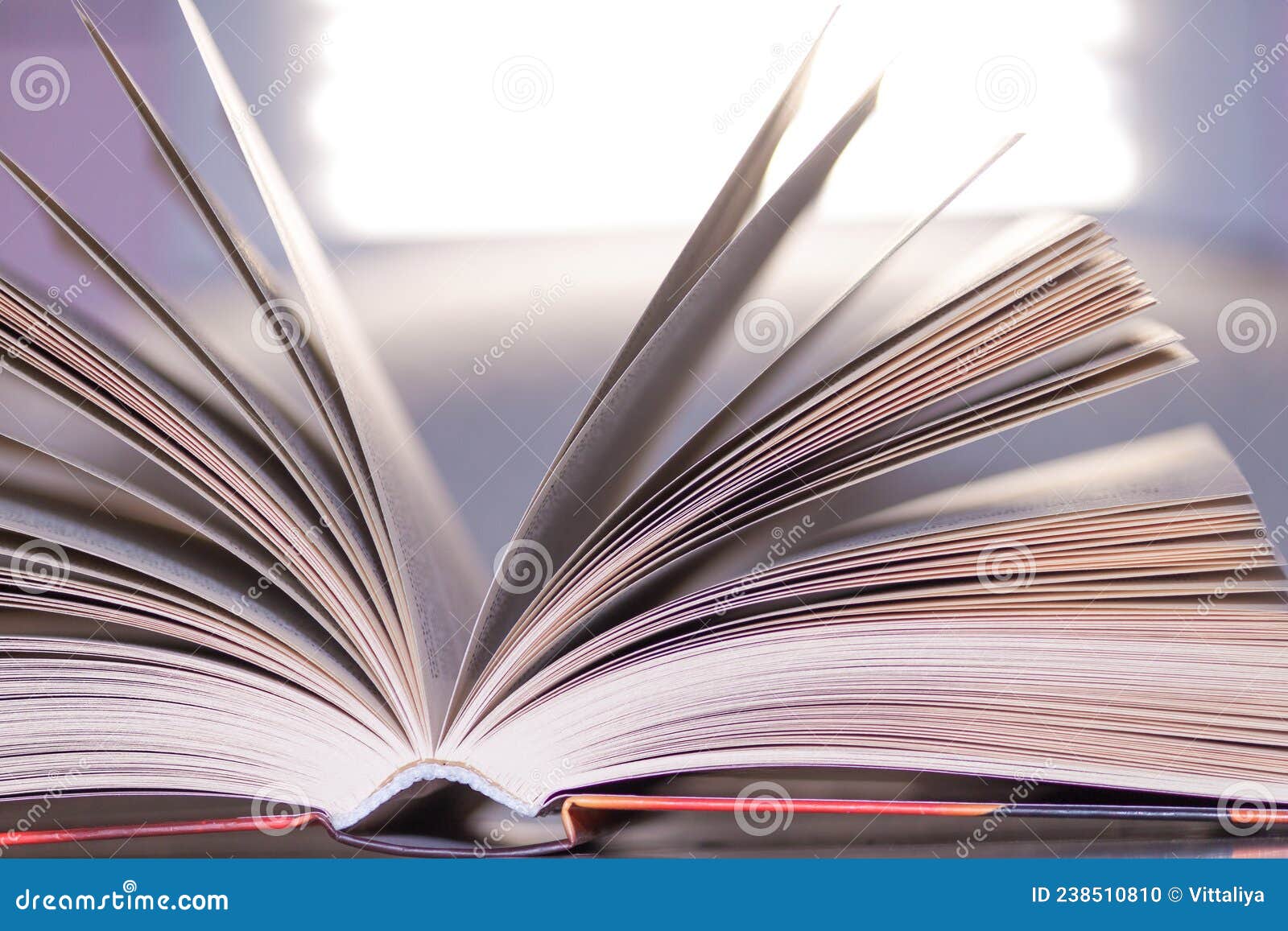 Open Book Close Up Pages. Study Concept Stock Photo - Image of ...