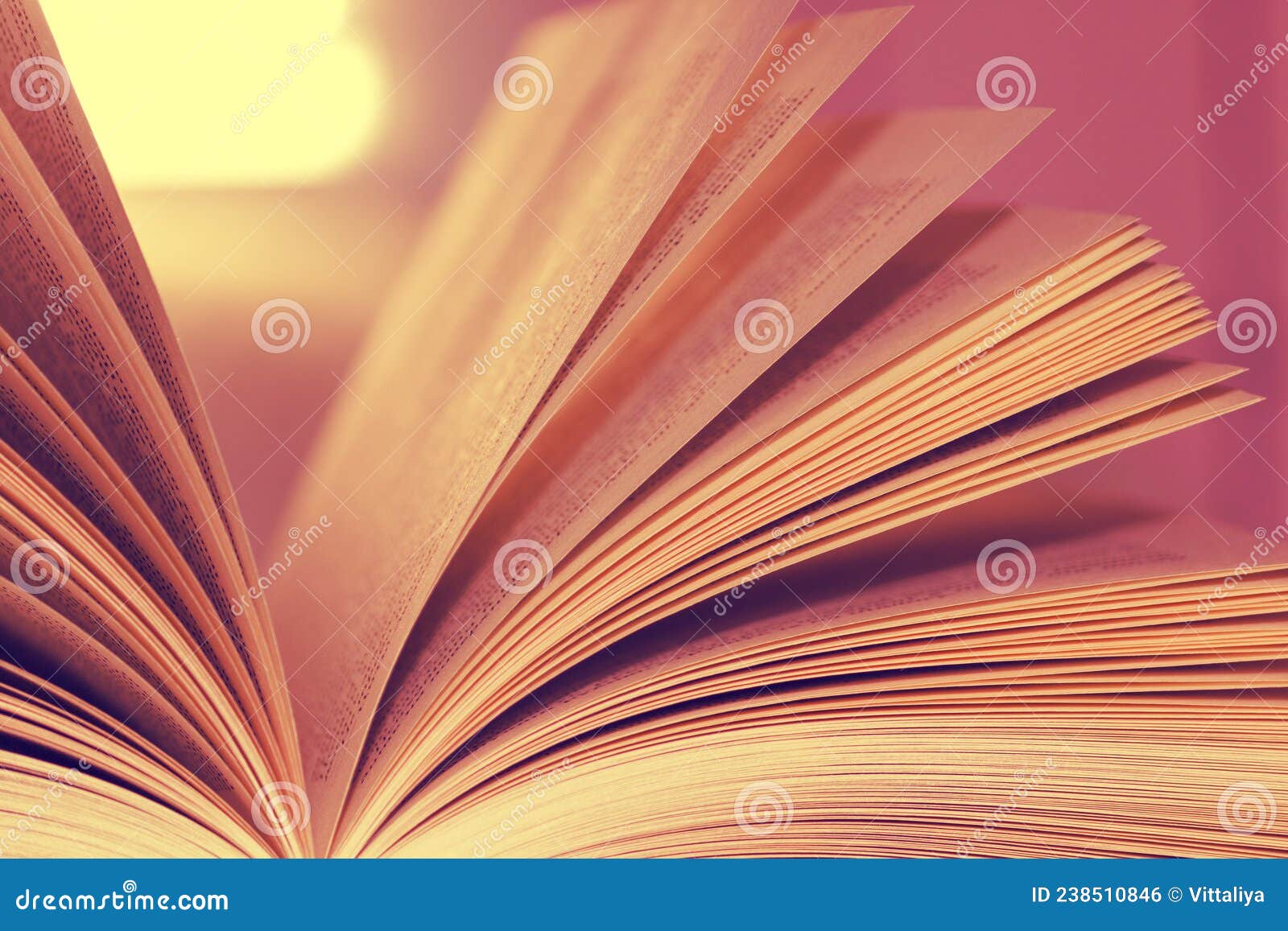 Open Book Close Up Pages. Study Concept Stock Photo - Image of ...