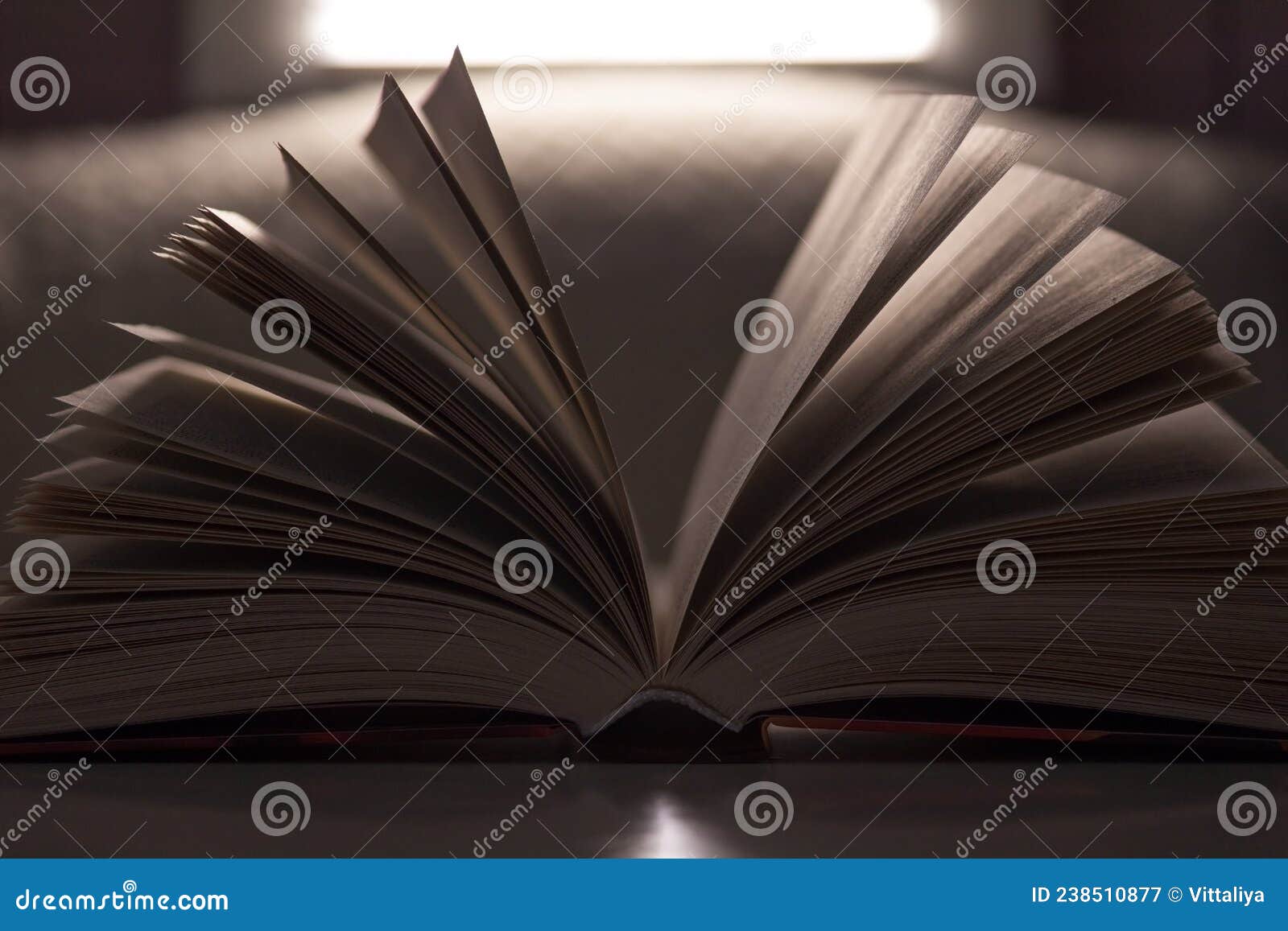 Open Book Close Up Pages. Study Concept Stock Image - Image of ...