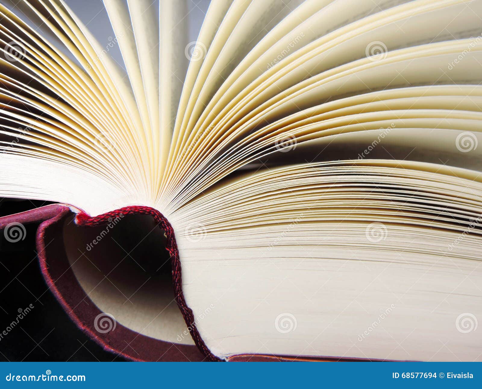 Open book, close up stock photo. Image of handbook, shot - 68577694
