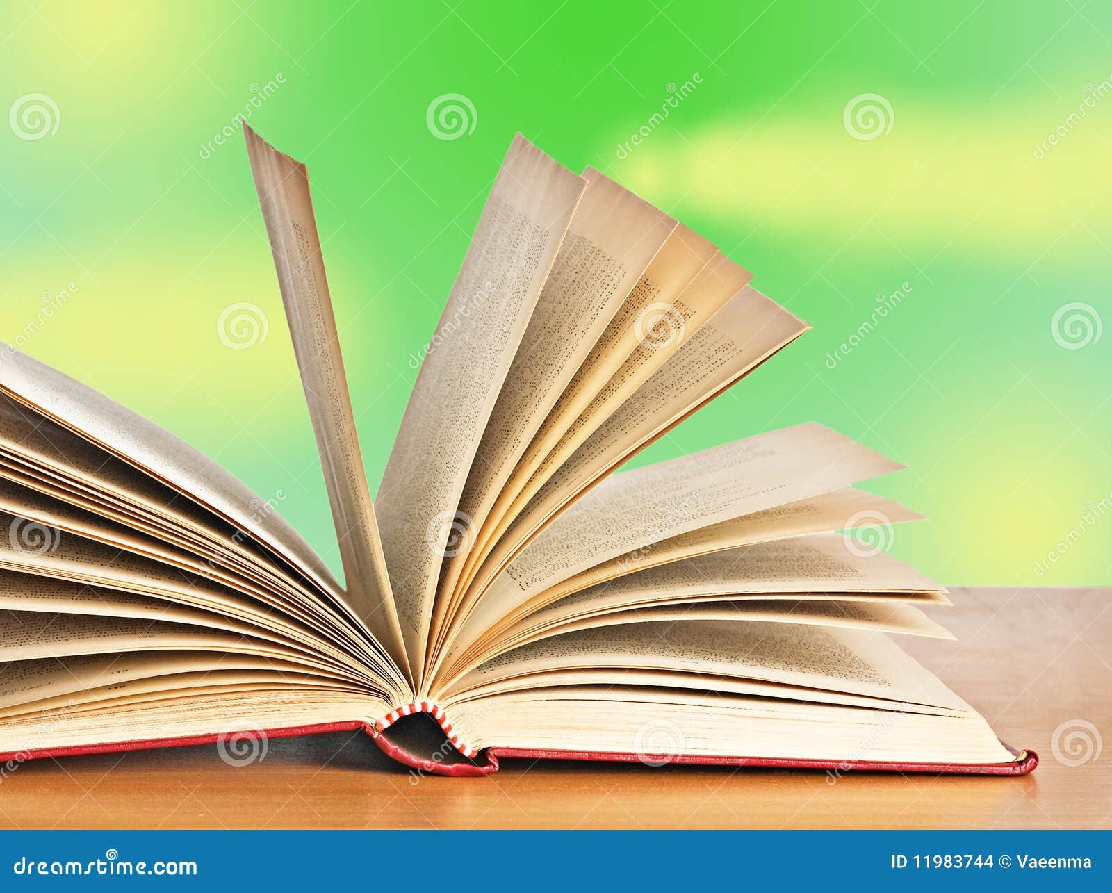 Open book on desk stock photo. Image of wisdom, book - 11983744