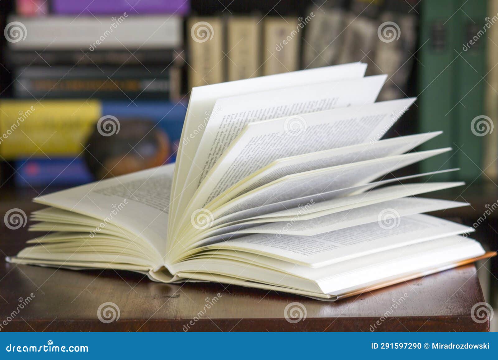 Open book on the desk stock photo. Image of literature - 291597290
