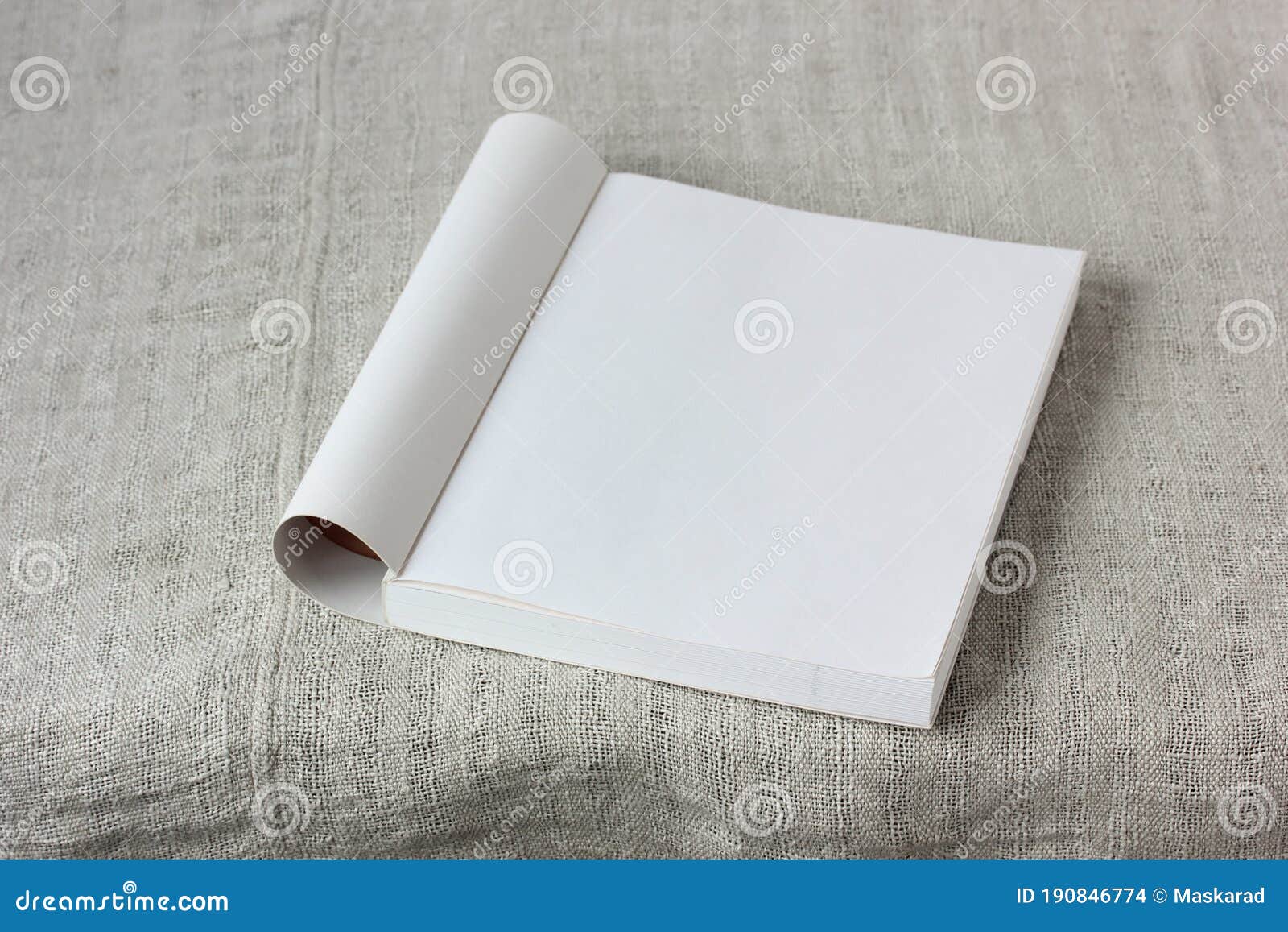 An Open Book with an Empty Page, Top View. Mockup, Scene Creator Stock ...